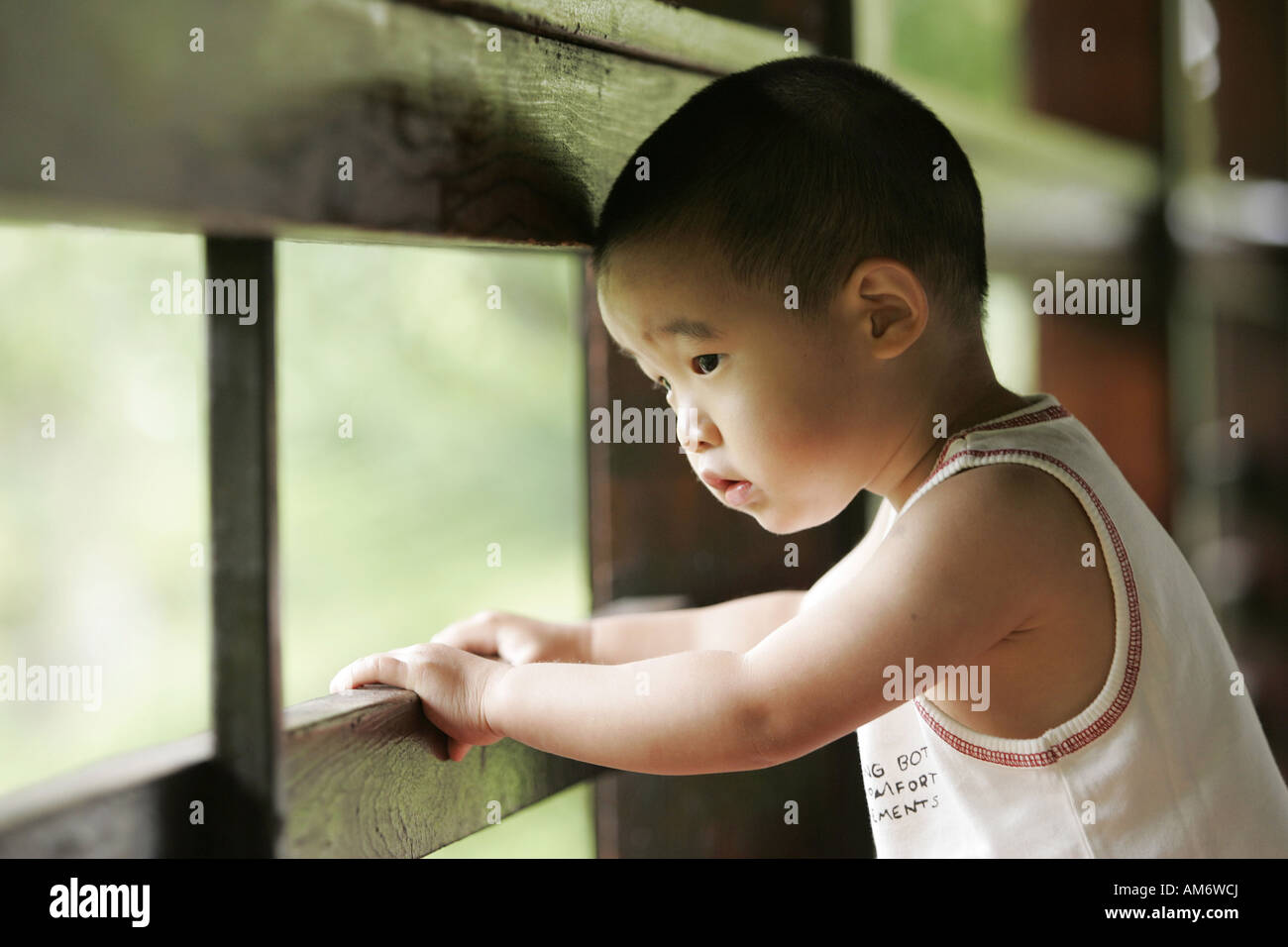 Young Boy Looking Out Stock Photo - Alamy