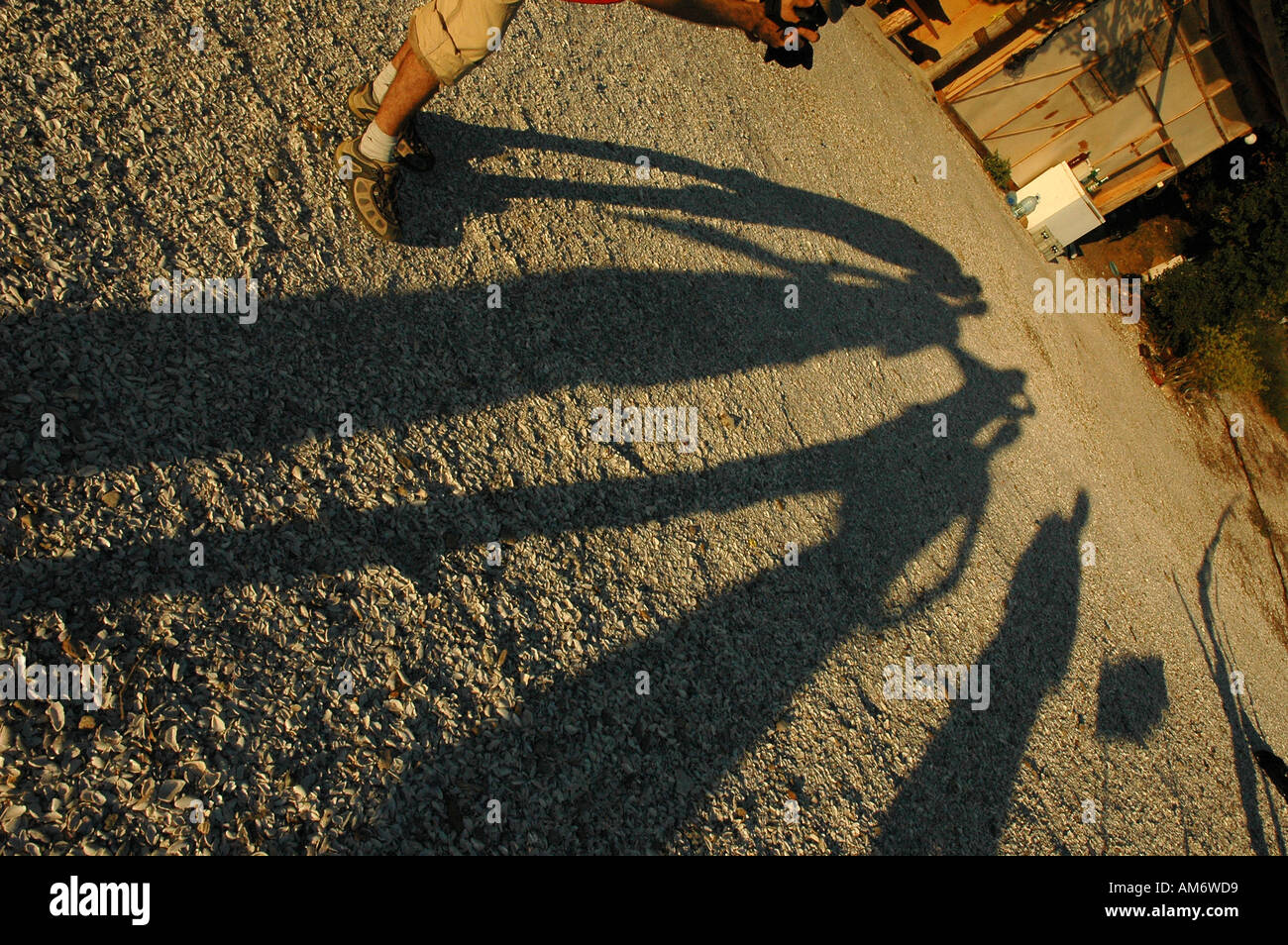 people shadows photographer take a picture Stock Photo - Alamy