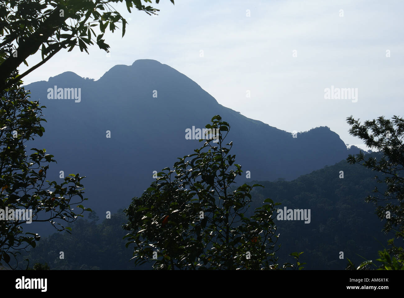 The place is Ponmudi in Kerala, India Stock Photo - Alamy