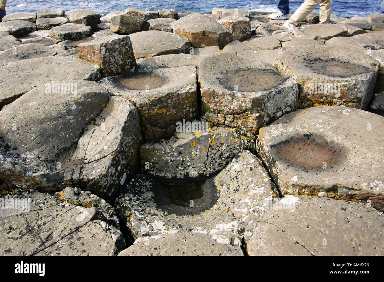 Hexagonal scale hi-res stock photography and images - Alamy