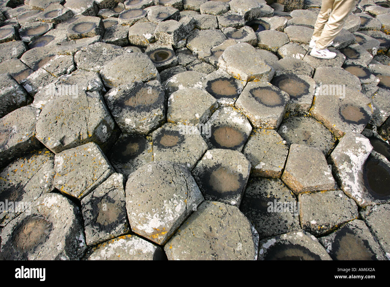 Close up of the hexagonal rocks at the Giants Causeway world heritage ...