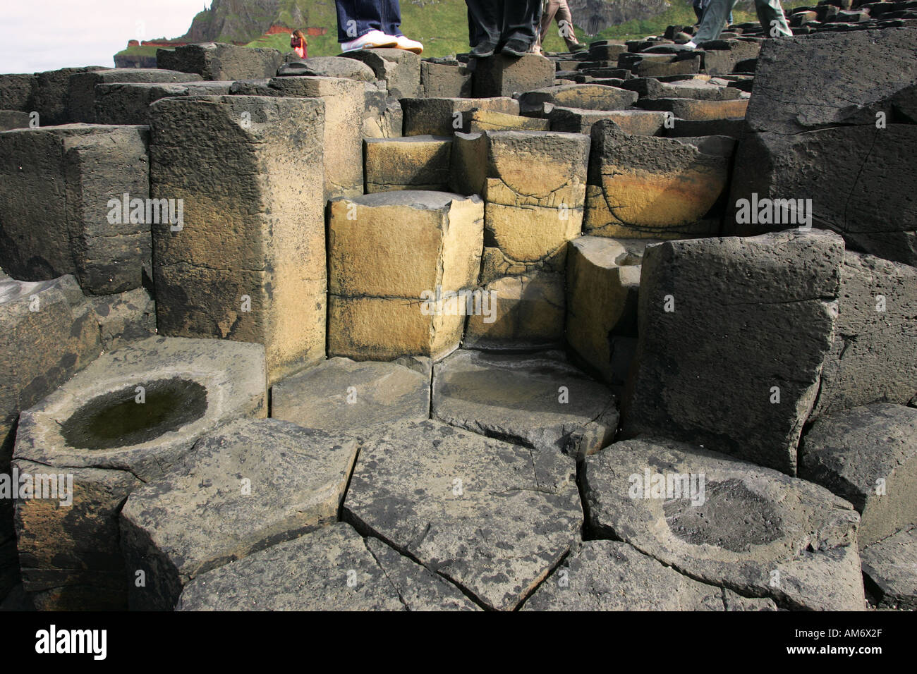 Hexagonal scale hi-res stock photography and images - Alamy