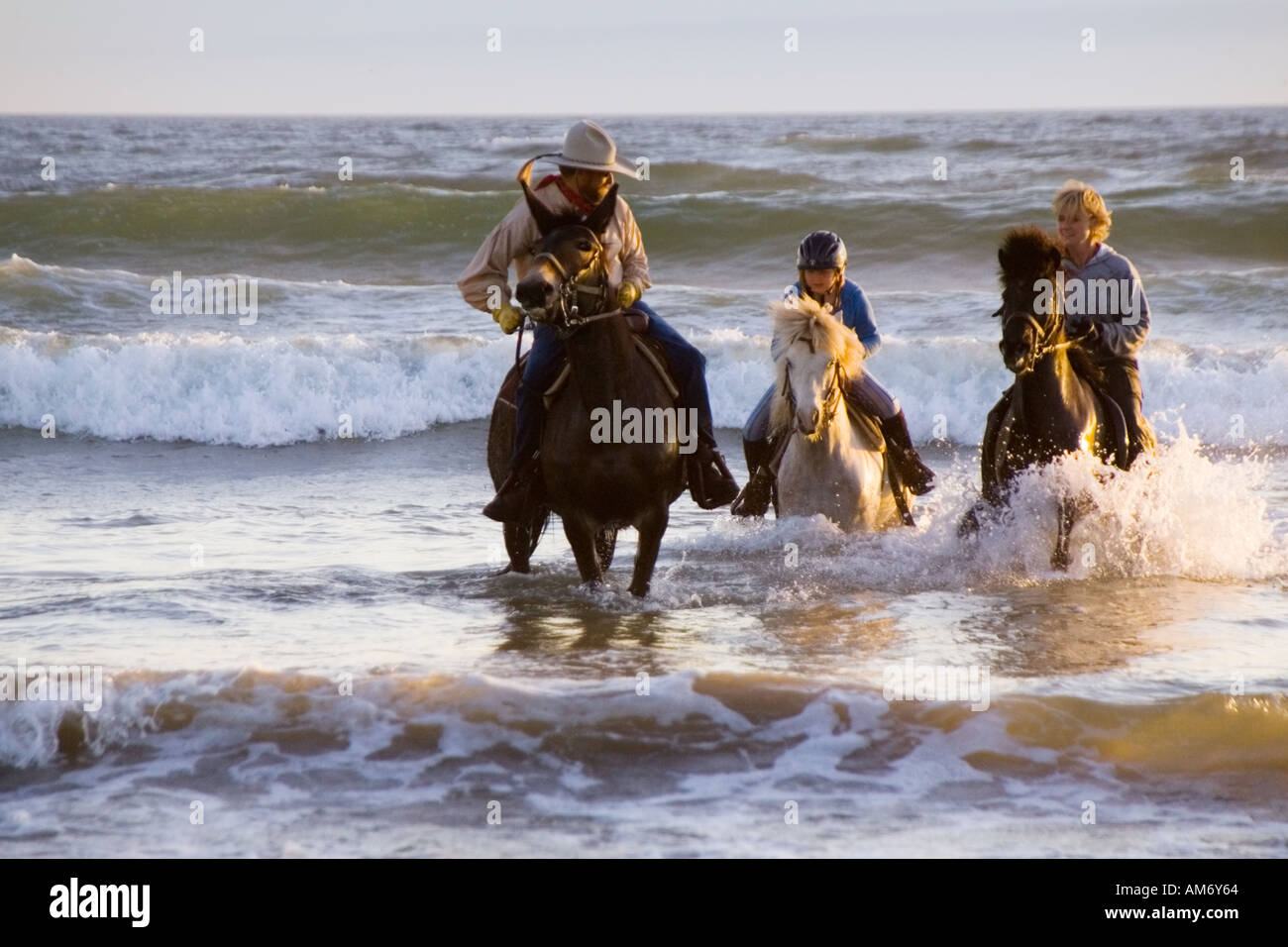 Horses galloping sunset beach hi-res stock photography and images - Alamy