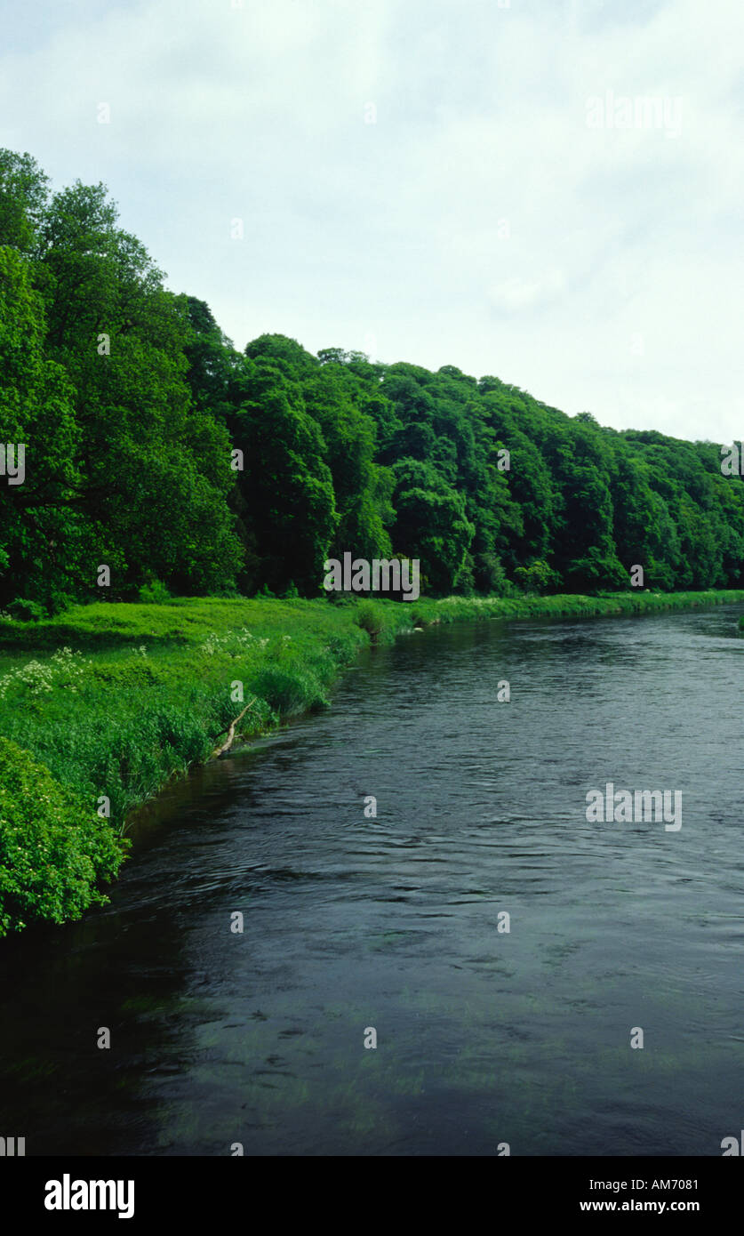 River suir bridge hi-res stock photography and images - Alamy