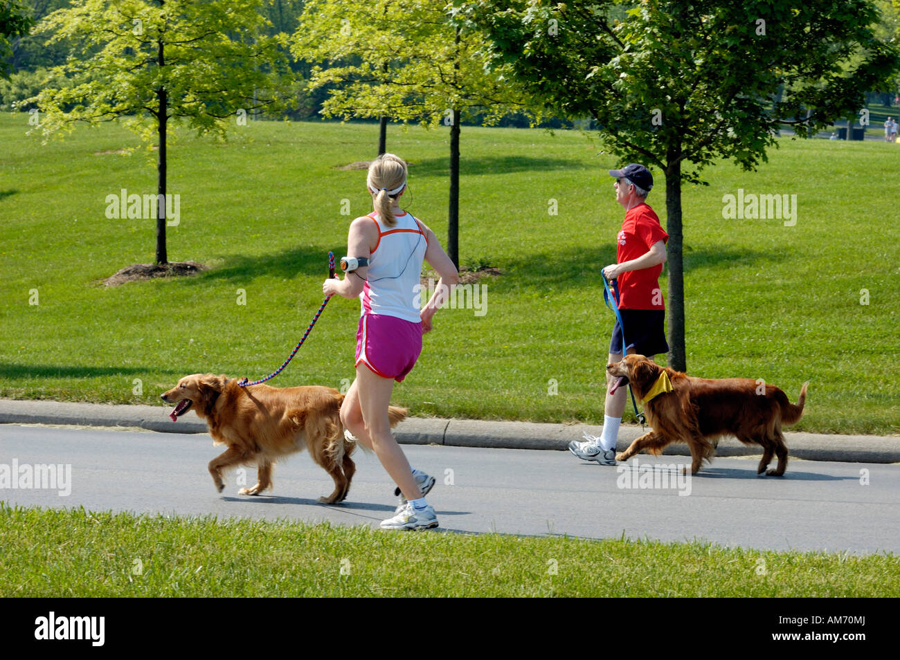 Runners with their dogs in a 5K race Stock Photo - Alamy