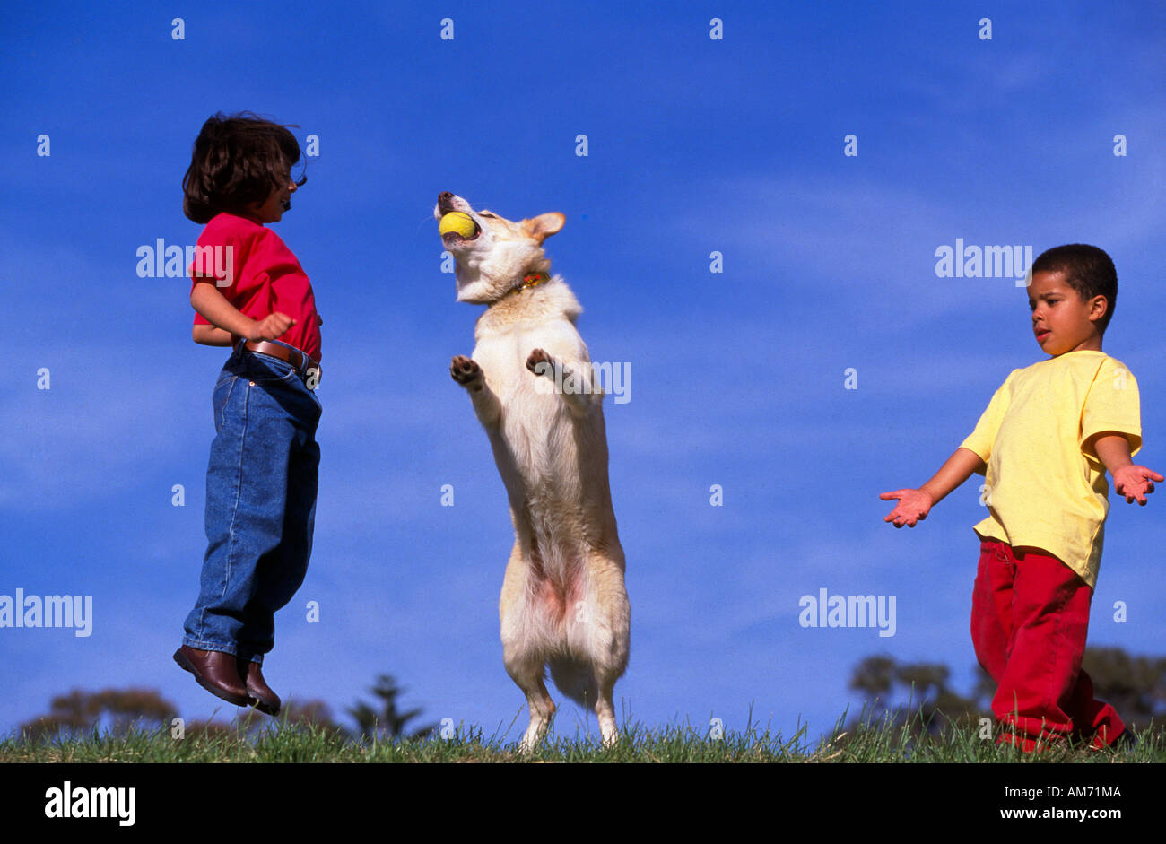 Children playing with dog Australia Stock Photo - Alamy