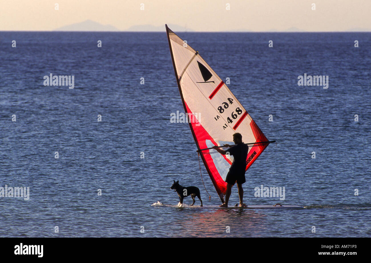Man and dog windsurfing, Australia Stock Photo - Alamy