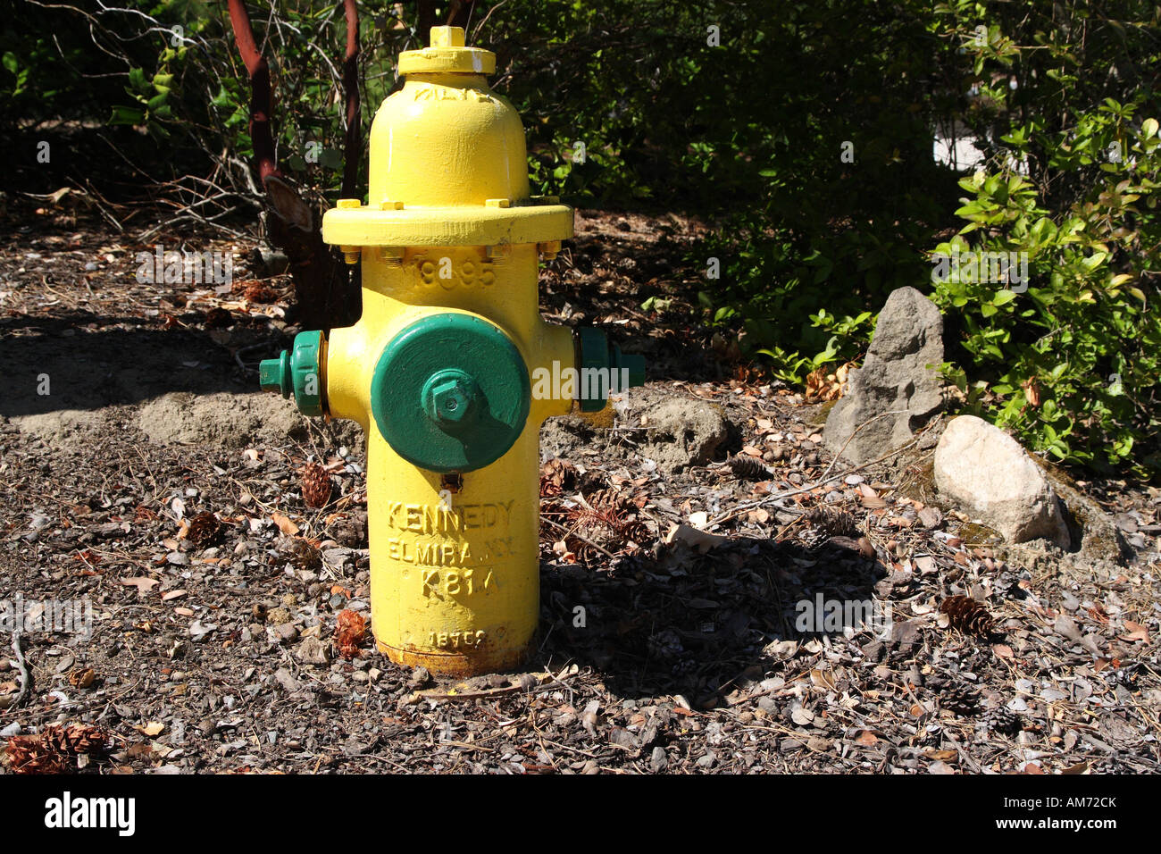 A yellow fire hydrant Stock Photo - Alamy