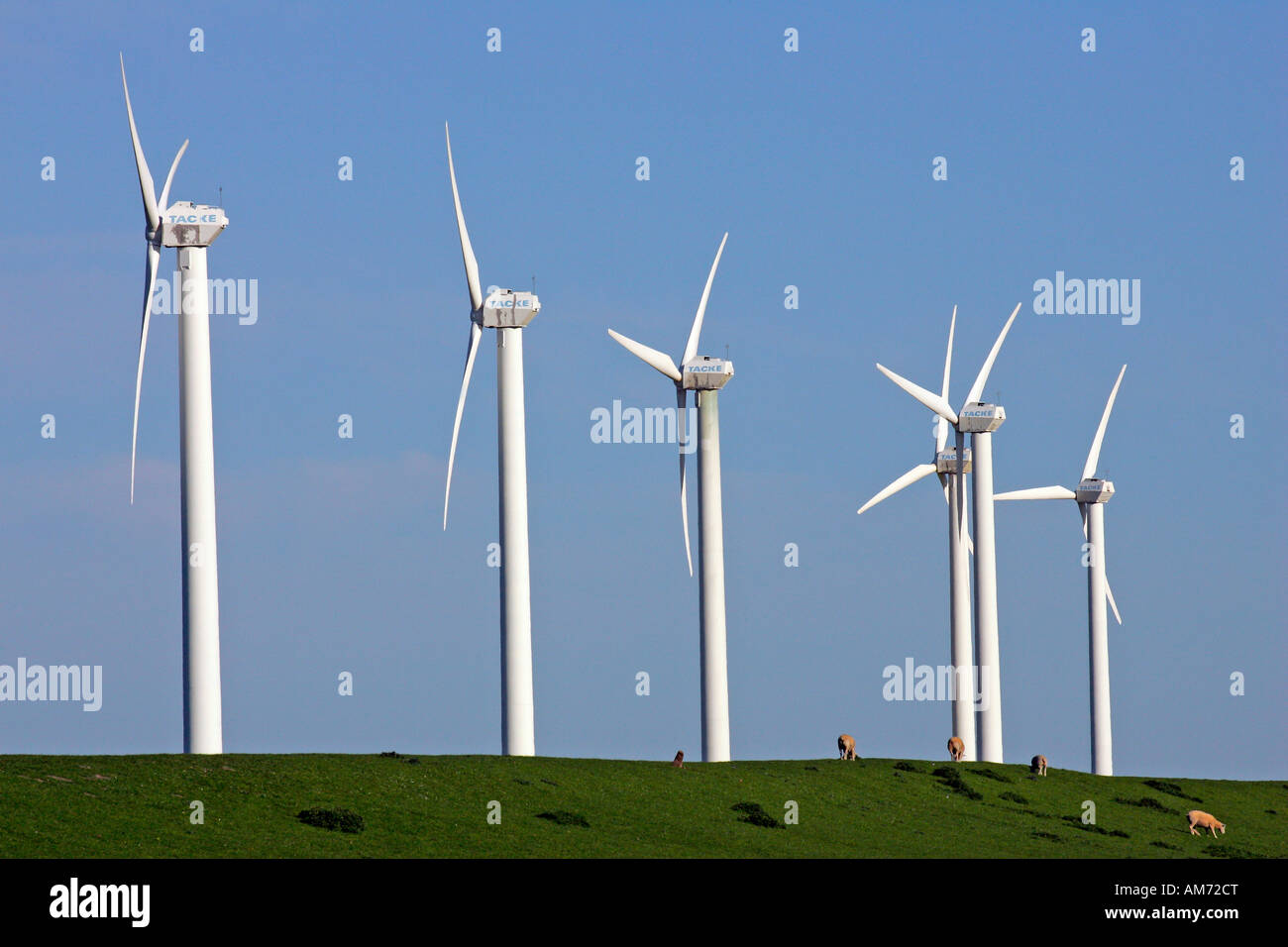 Windmills on a dike with sheeps - wind engines - wind generators ...