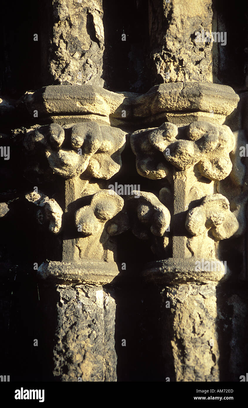 Early english stiff leaf capital hi-res stock photography and images ...
