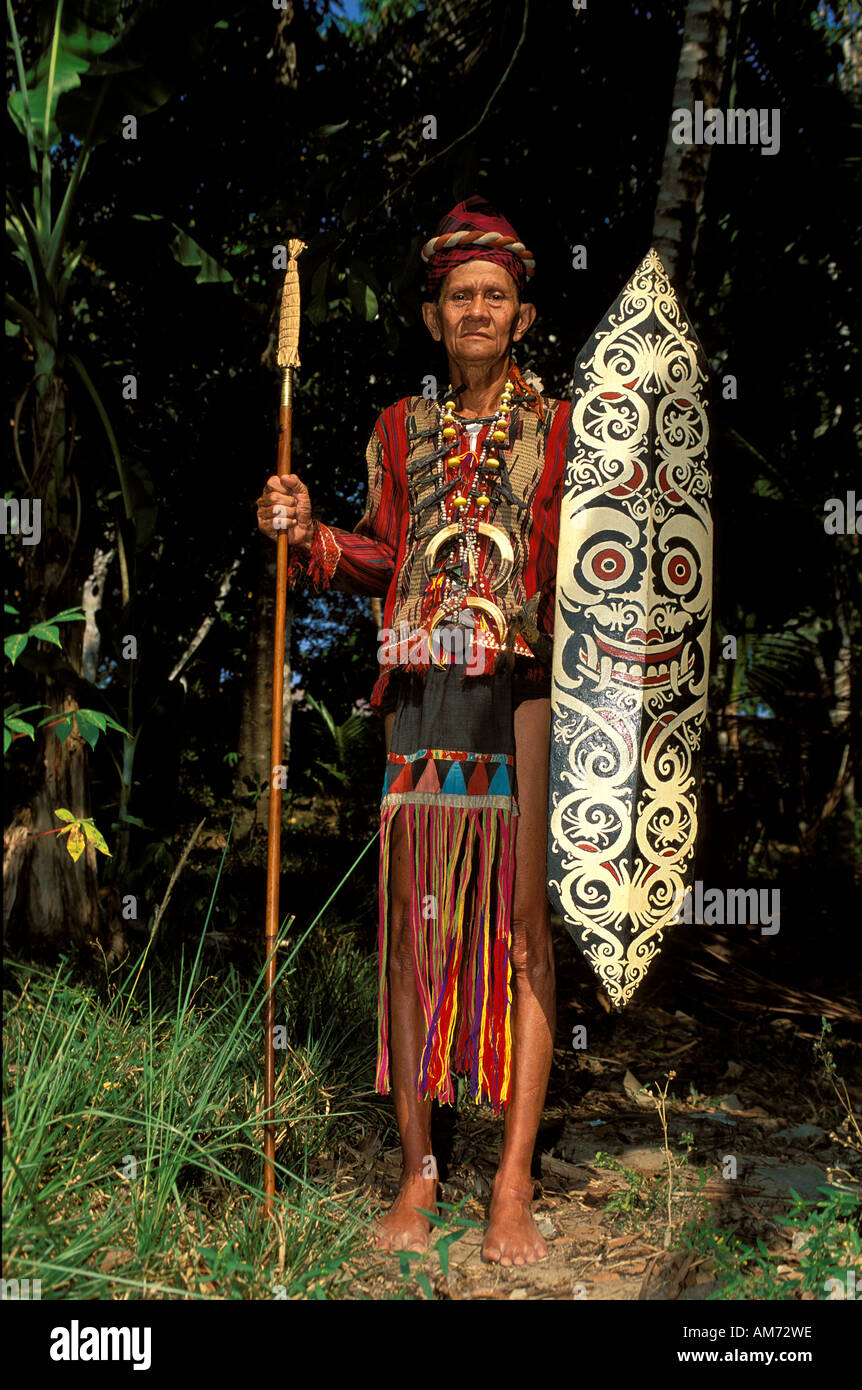 Kalimantan a Dayak chief of a tribe in traditional attire Stock Photo ...