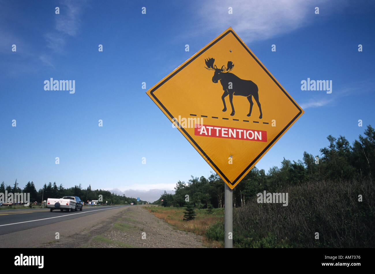 Attention moose warning sign hi-res stock photography and images - Alamy