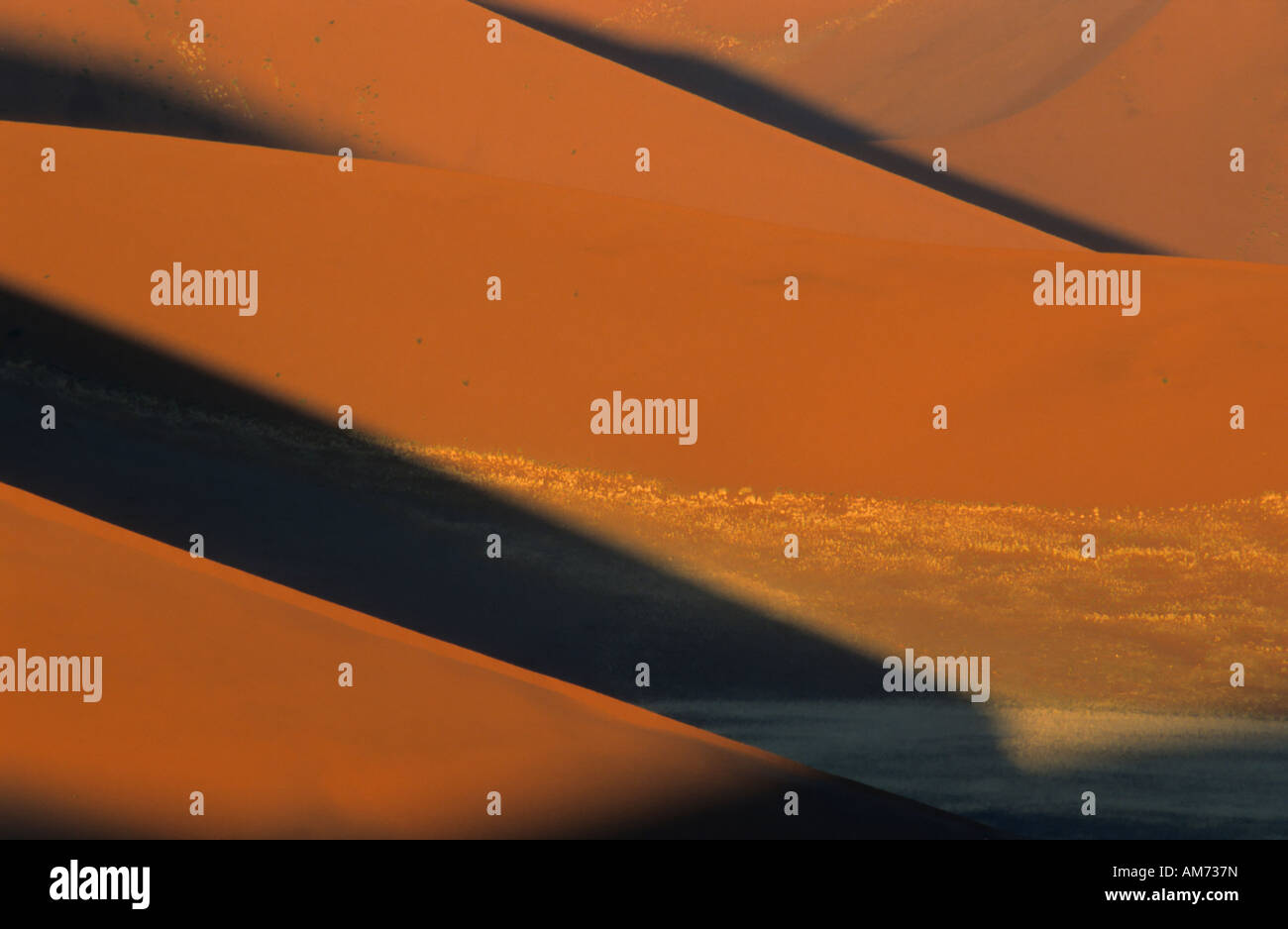 Red sand dunes, Sossusvlei, Namib-Naukluft National Park, Namibia ...