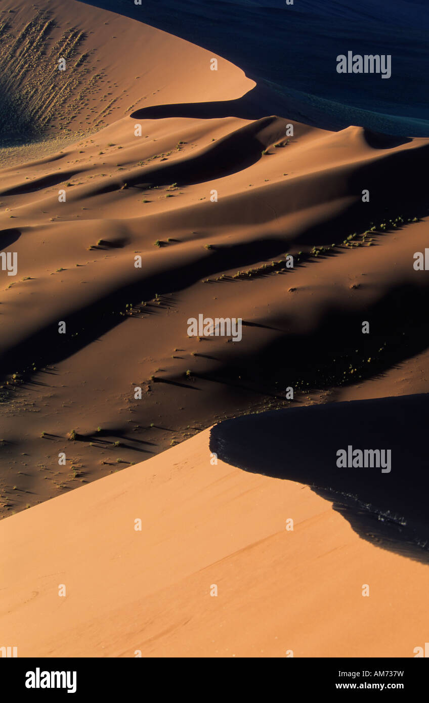 Red sand dunes, Sossusvlei, Namib-Naukluft National Park, Namibia ...