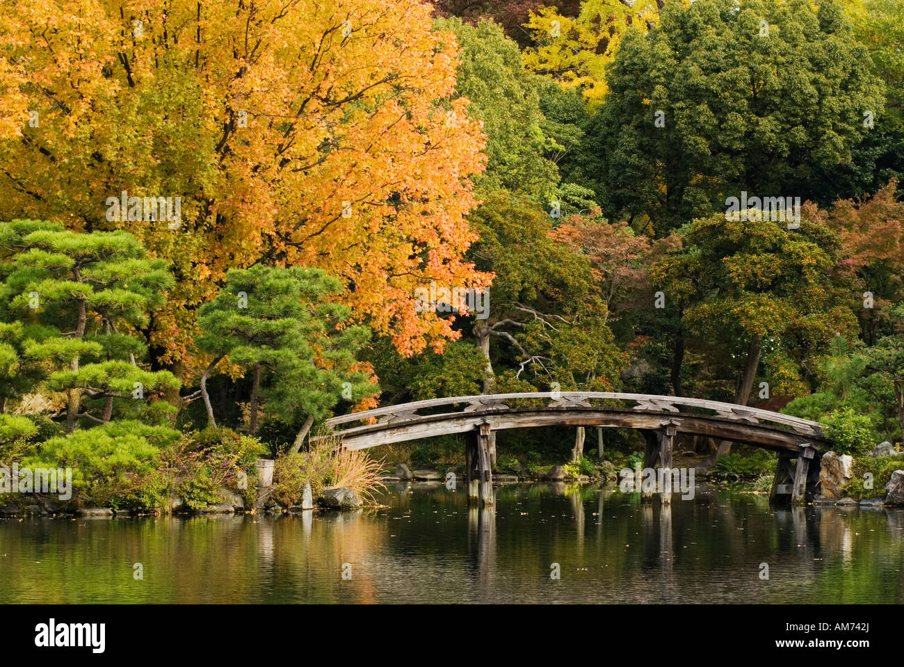 Shosei en garden hi-res stock photography and images - Alamy