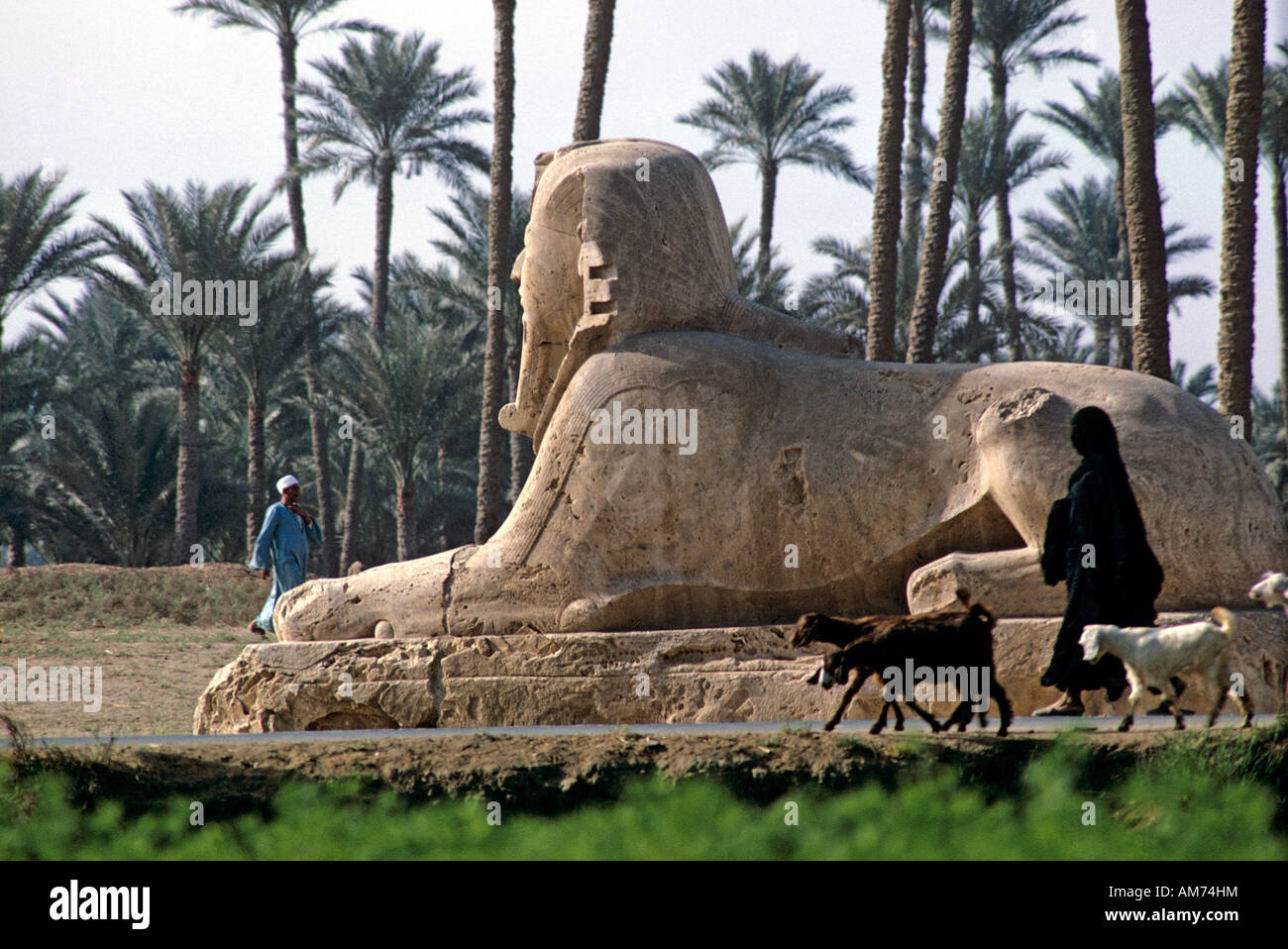 Egypt Memphis near Cairo The Alabaster Sphinx about 3000 years old ...