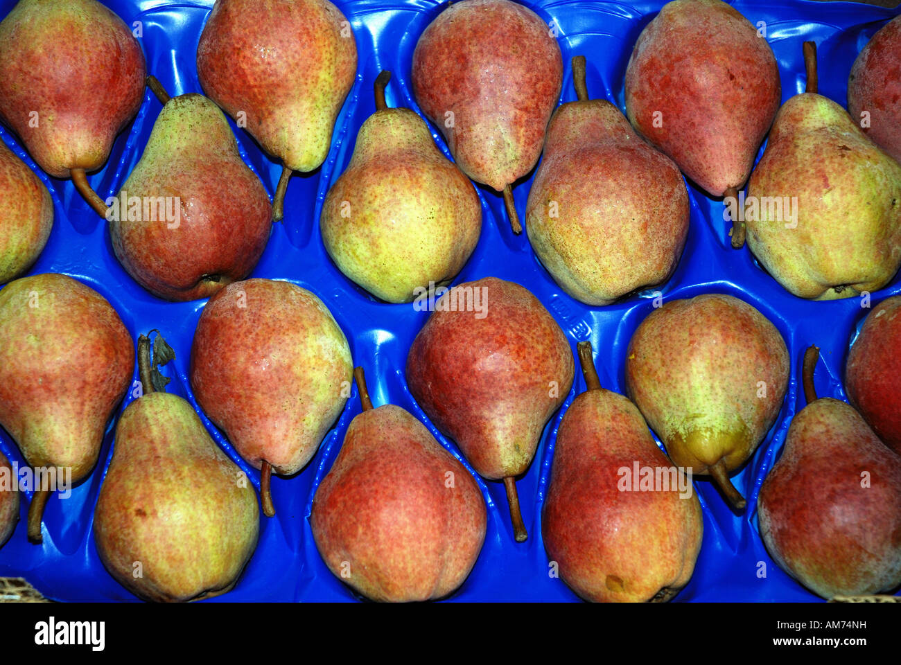 Packed pears in a farm in Italy Stock Photo - Alamy