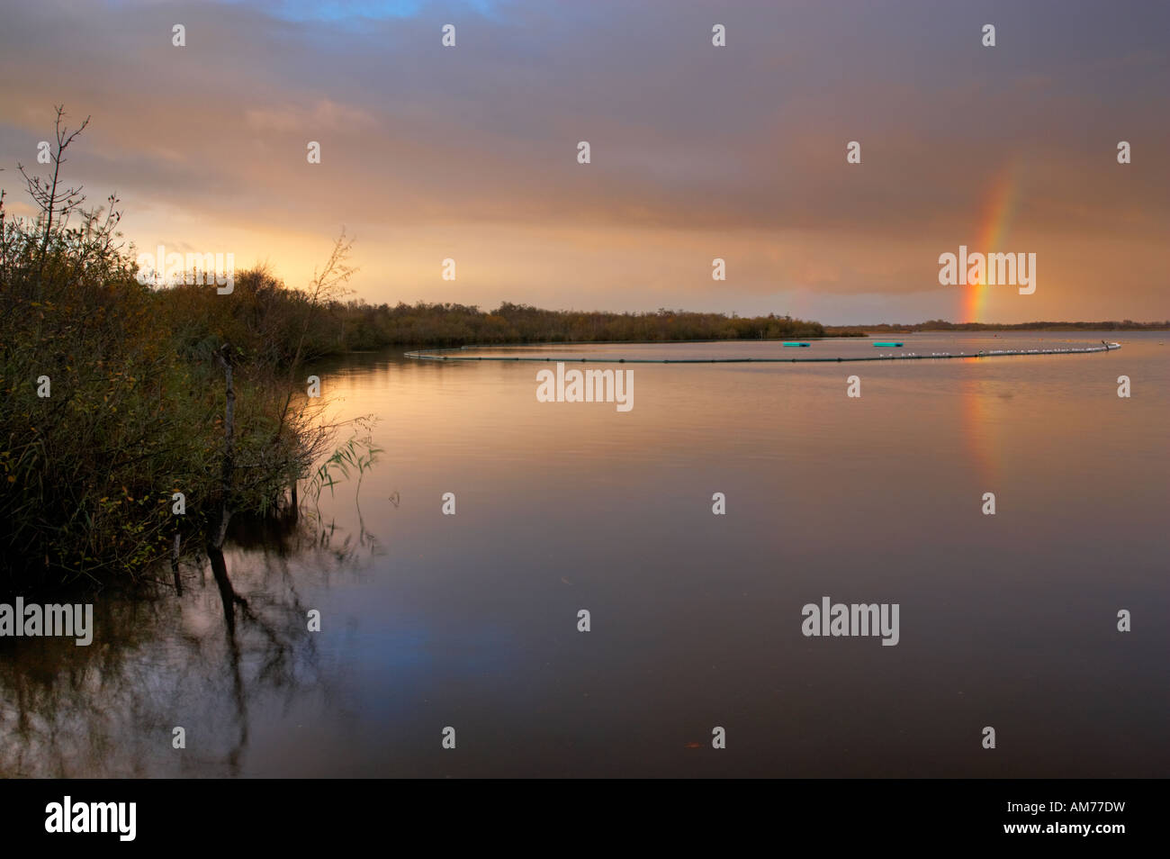 Barton broad norfolk hi-res stock photography and images - Alamy