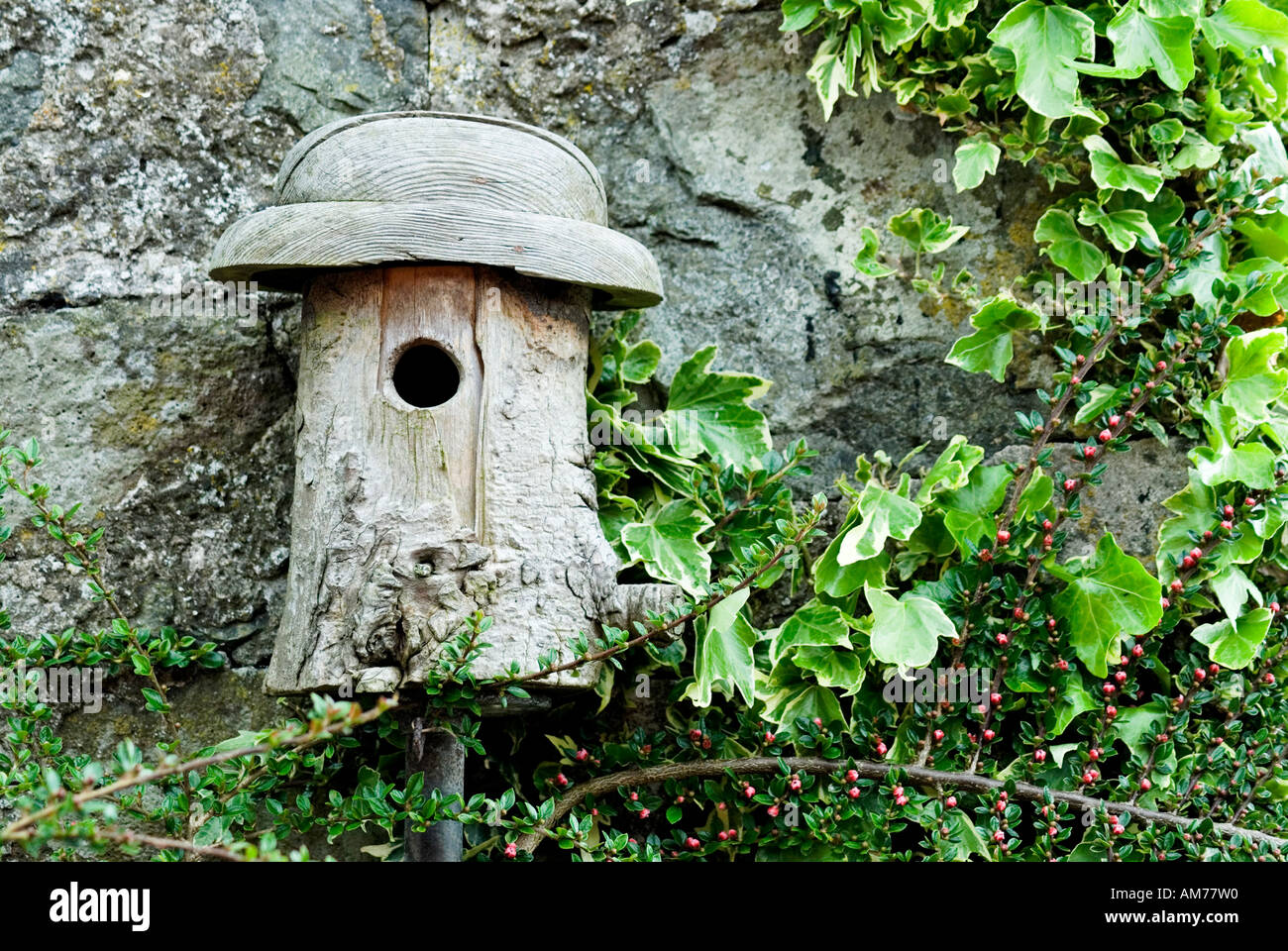 Unusual bird box hi-res stock photography and images - Alamy