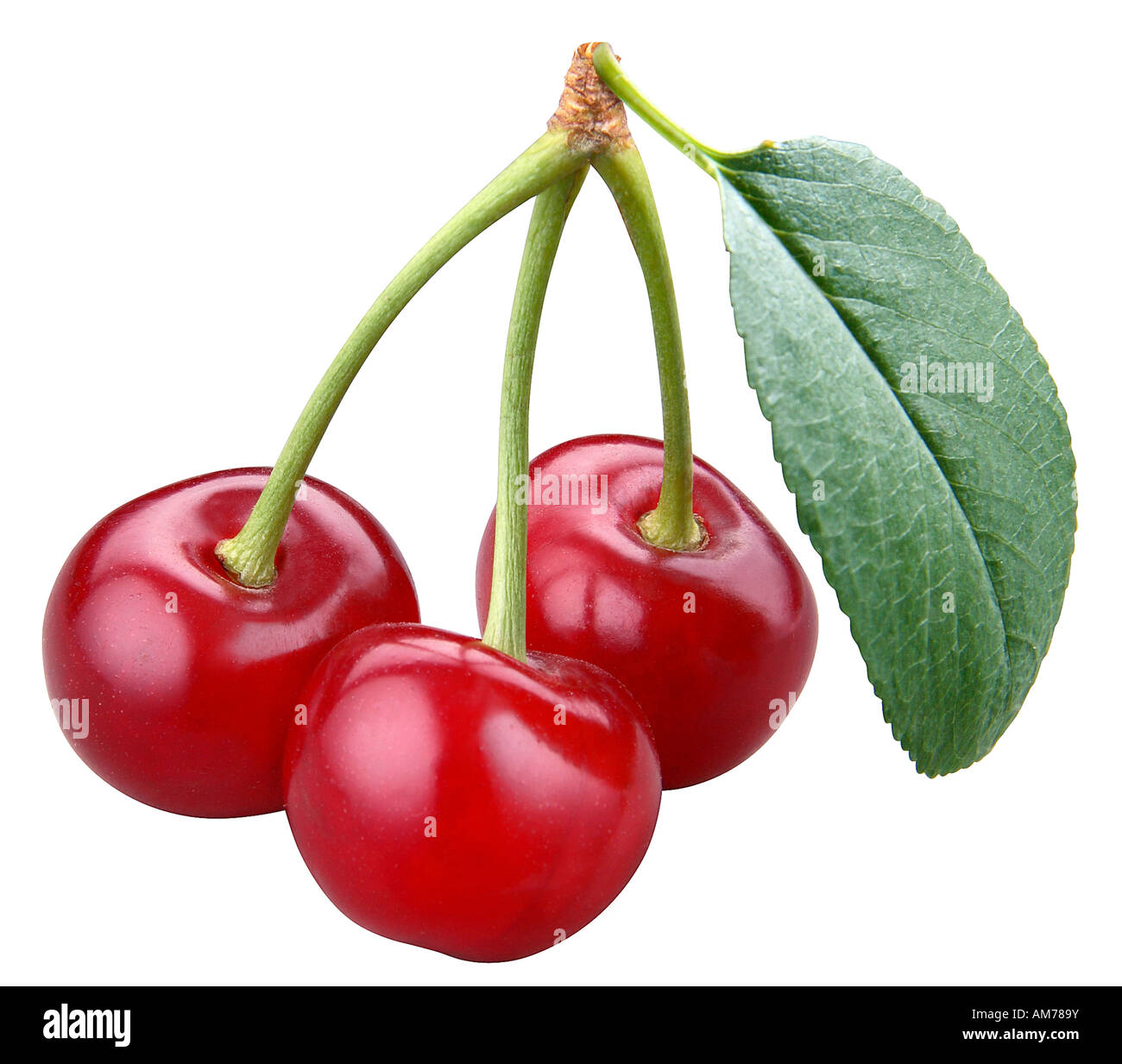 Confiture cocktail hi-res stock photography and images - Alamy