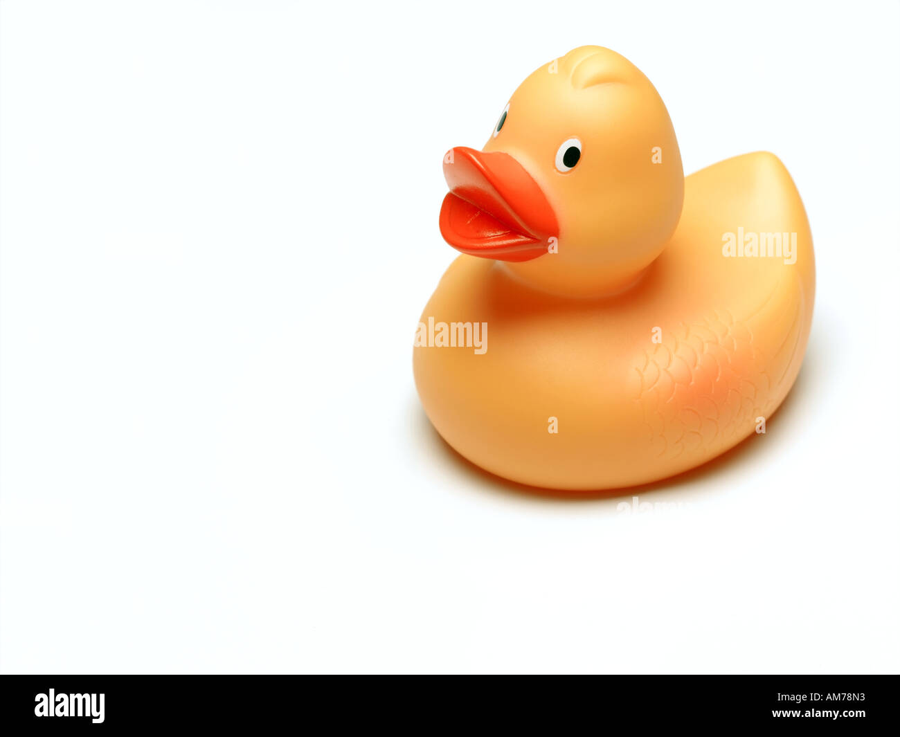 Plastic duck hi-res stock photography and images - Alamy