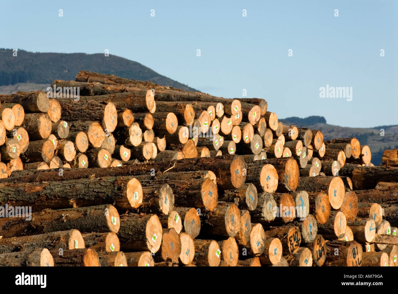Loading log ship hi-res stock photography and images - Alamy