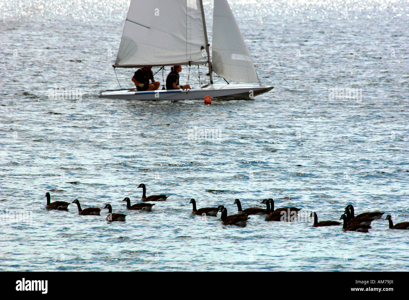 Sailing On Carsington Water. A Freshwater Reservoir In Derbyshire ...