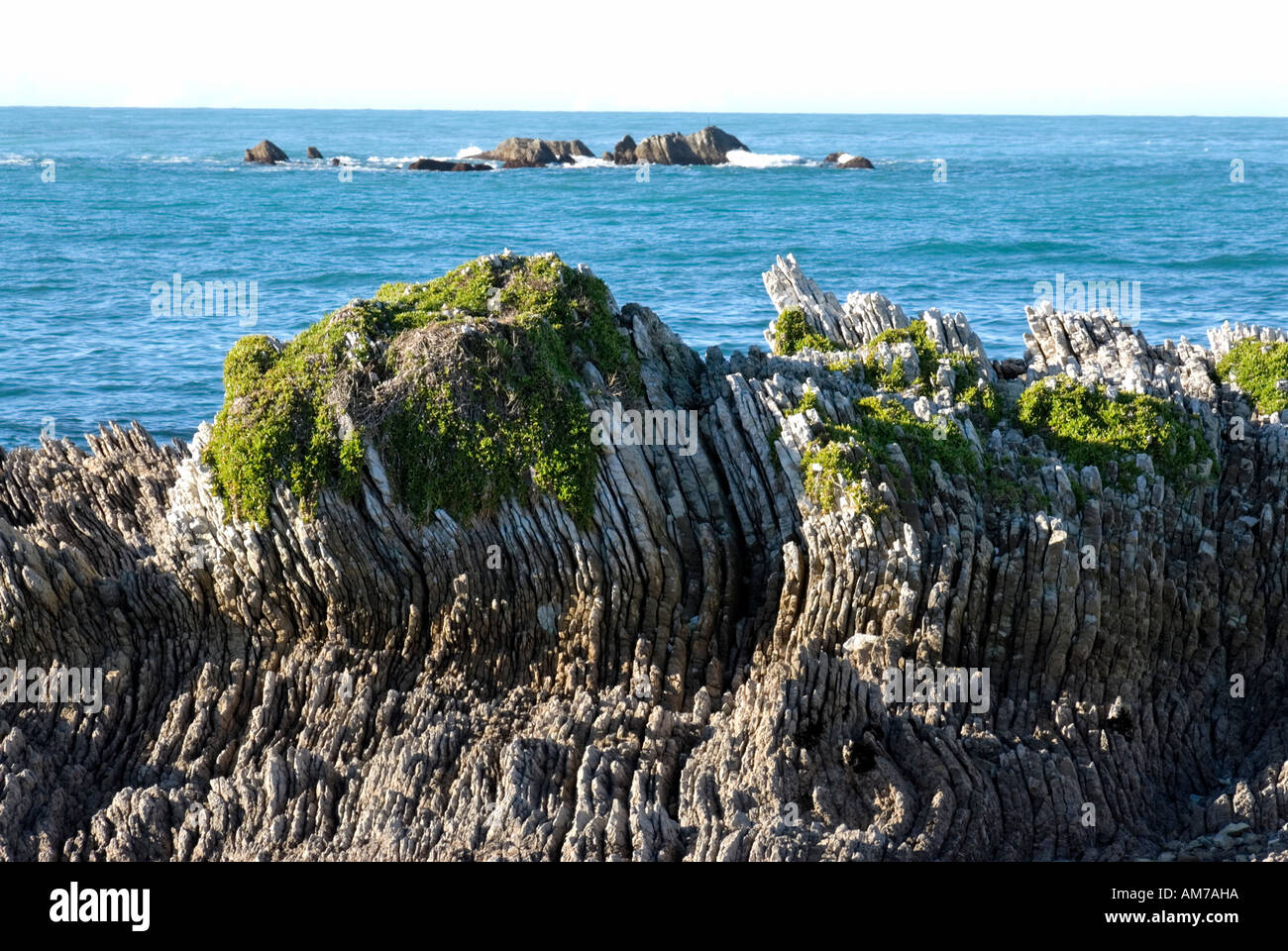 Unusual stratified sea rock formations at Kaikoura Stock Photo - Alamy