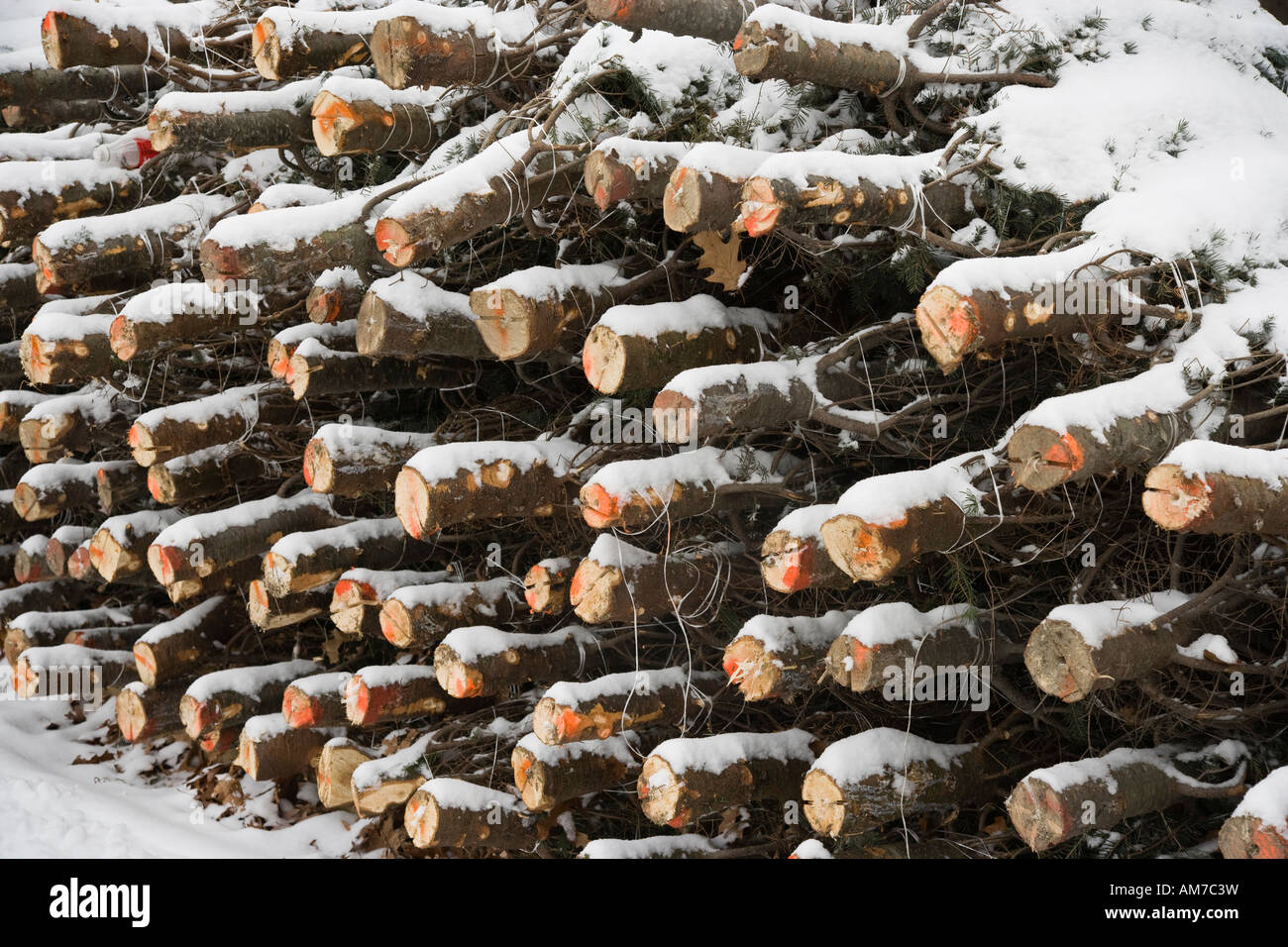 Stacked in a pile hi-res stock photography and images - Alamy