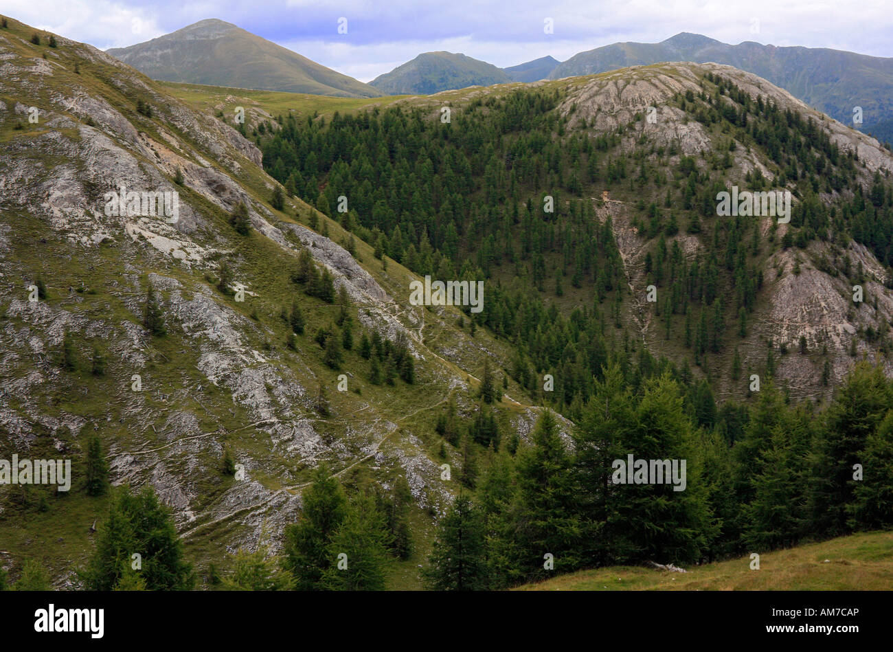Im nationalpark nockberge kärnten österreich hi-res stock photography ...