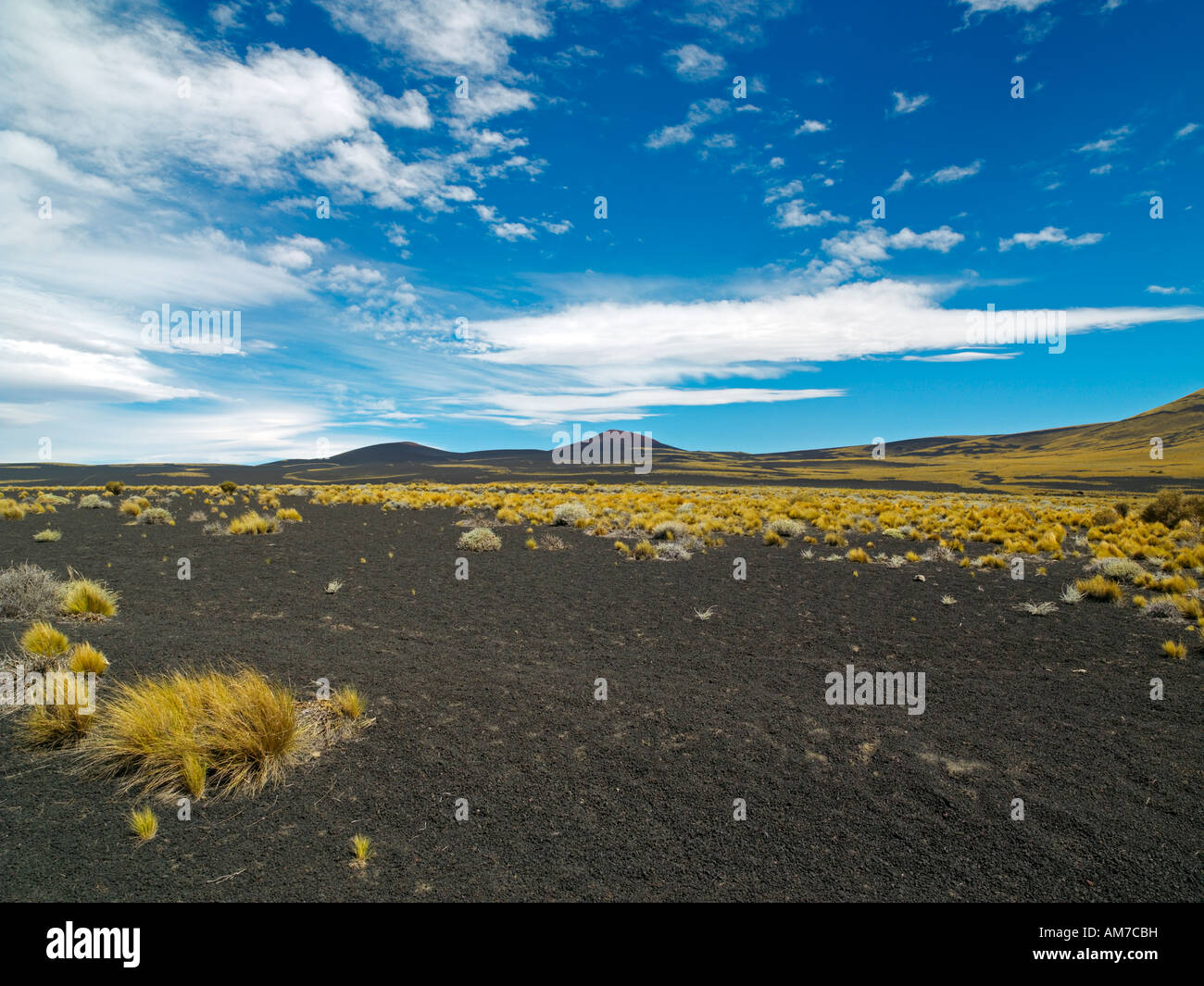 The austere desert landscape of Payunia Provincial Park, Mendoza ...