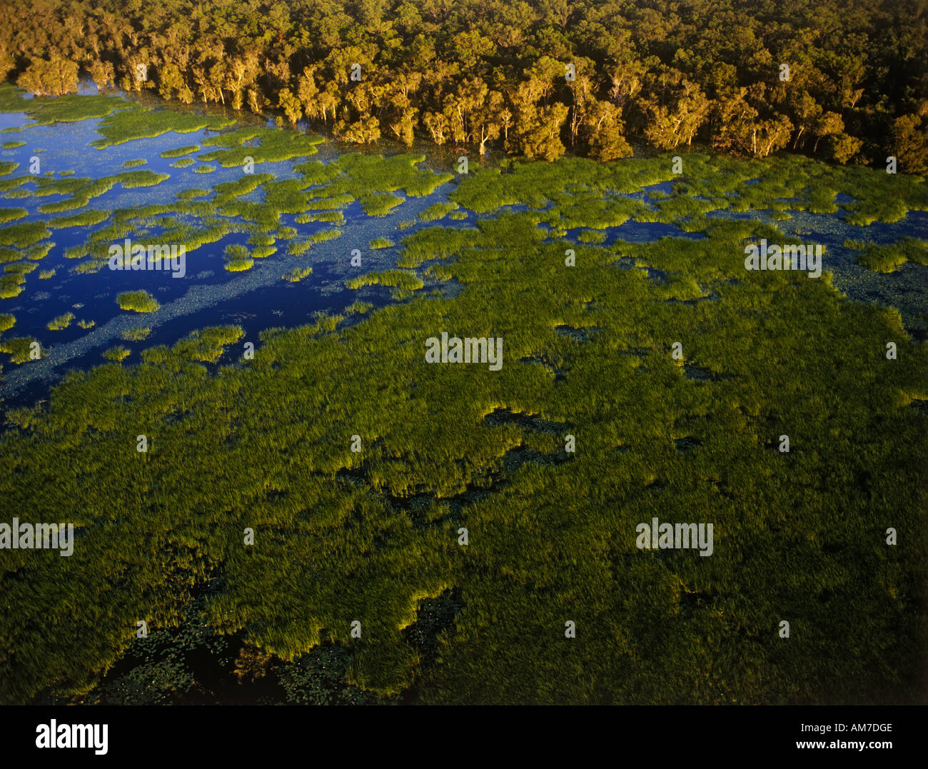 Floodplain Mabaloodoo escarpment West Arnhem Land Top End Northern ...