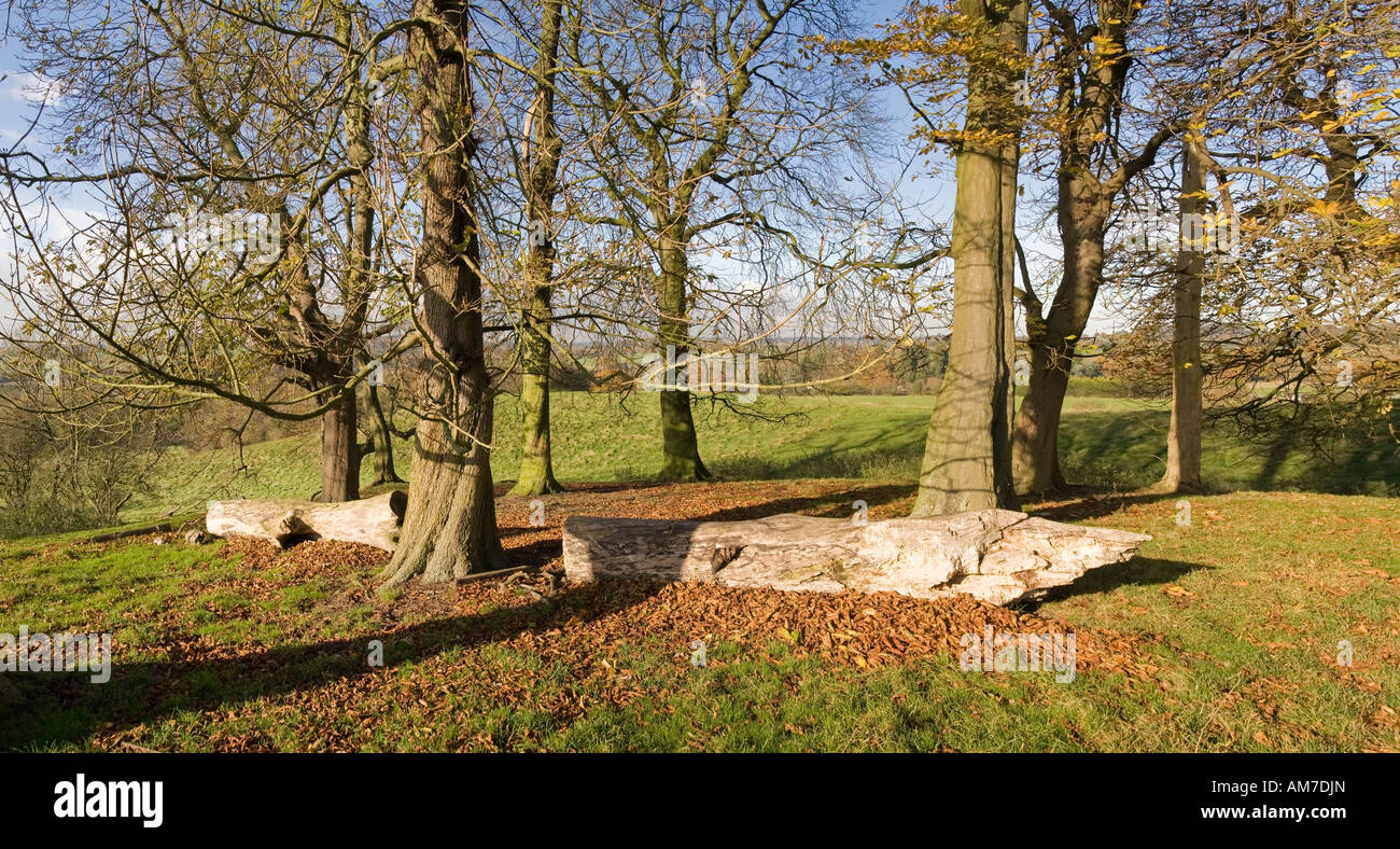 countryside beoley worcestershire midlands england uk Stock Photo - Alamy
