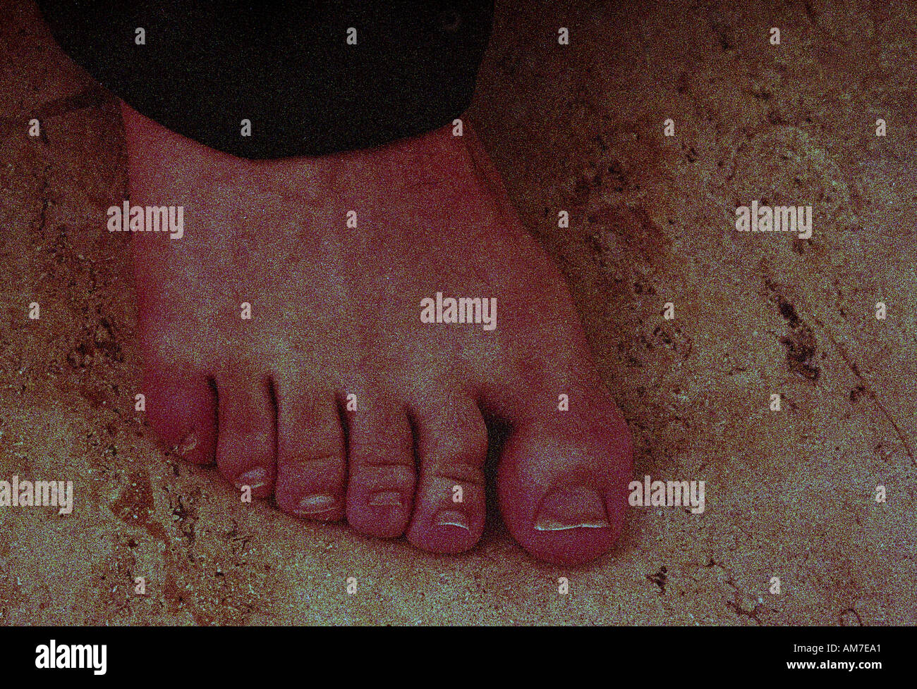6 toes hi-res stock photography and images - Alamy