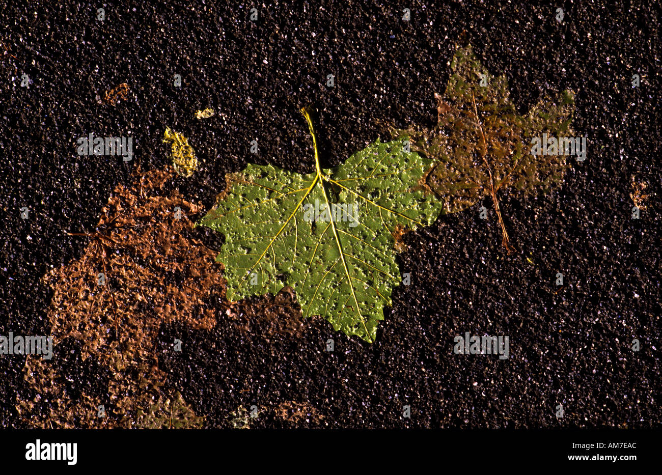 Screenprint background hi-res stock photography and images - Alamy