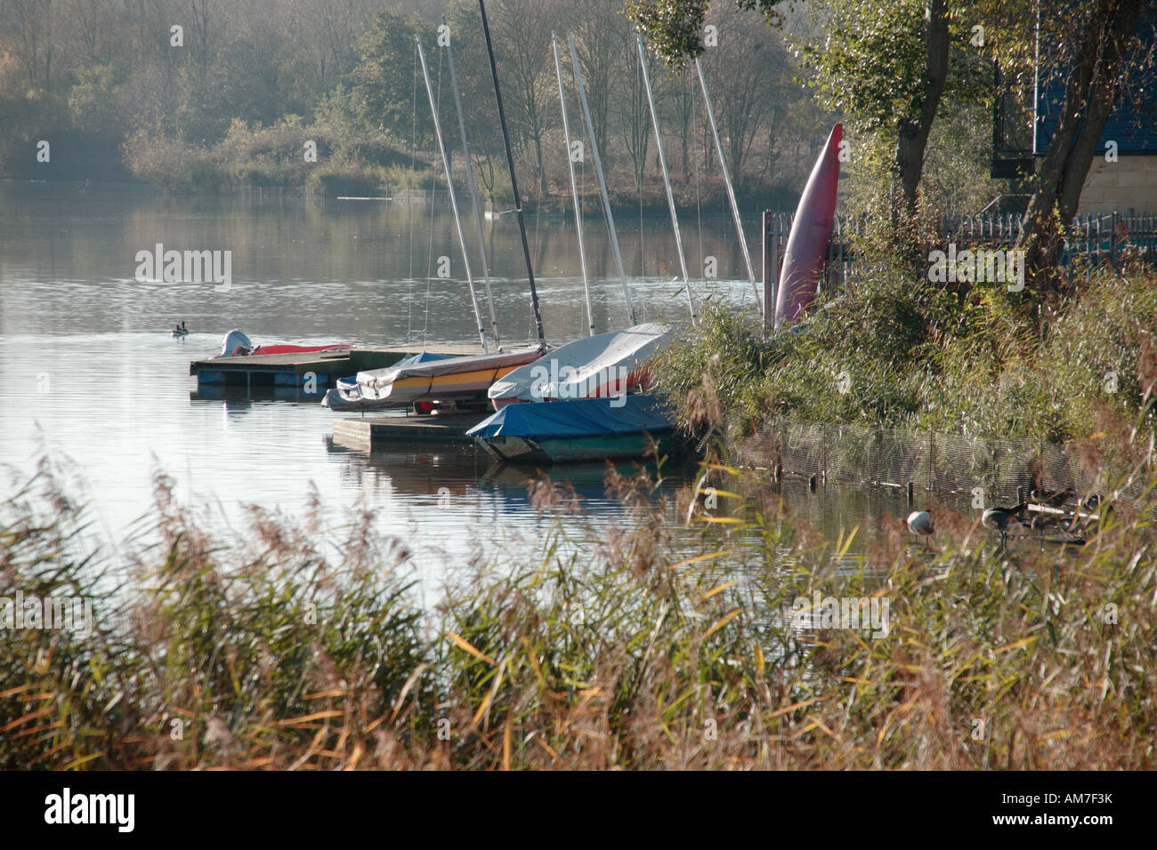 arrow valley lake country park redditch worcestershire midlands england ...
