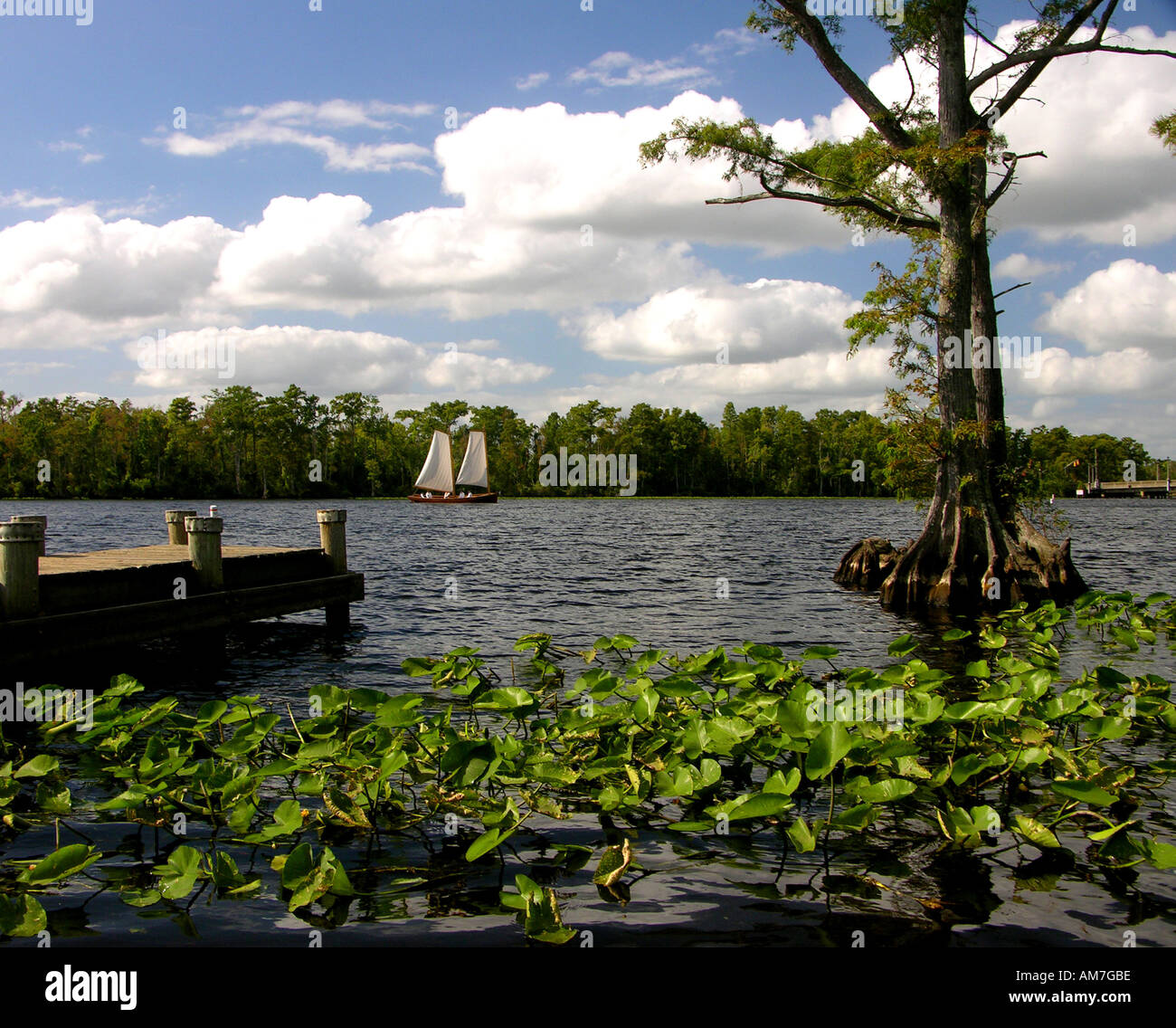 Periauger hi-res stock photography and images - Alamy