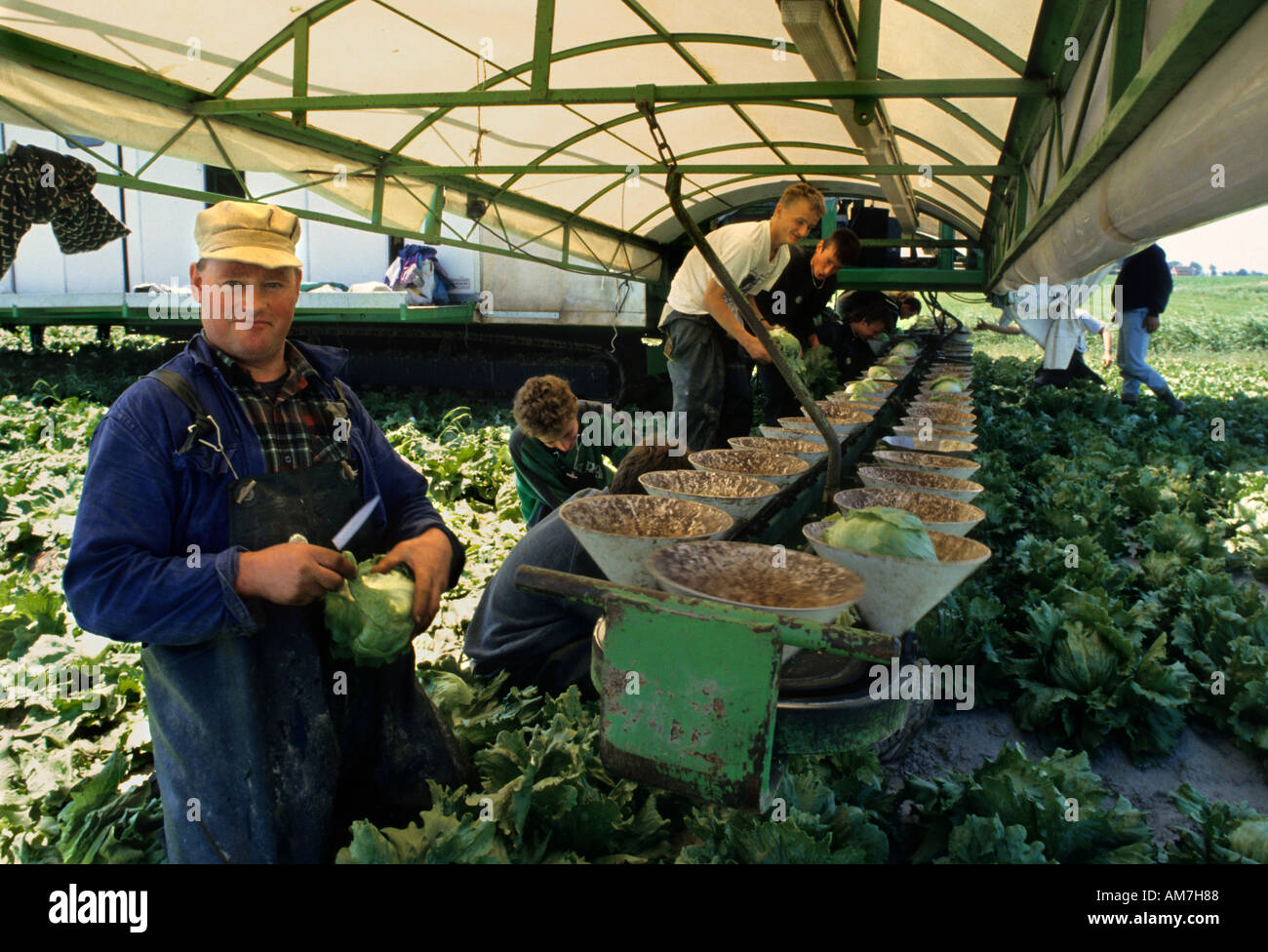 Zeeland Netherlands holland farming farmer agriculture field produce ...