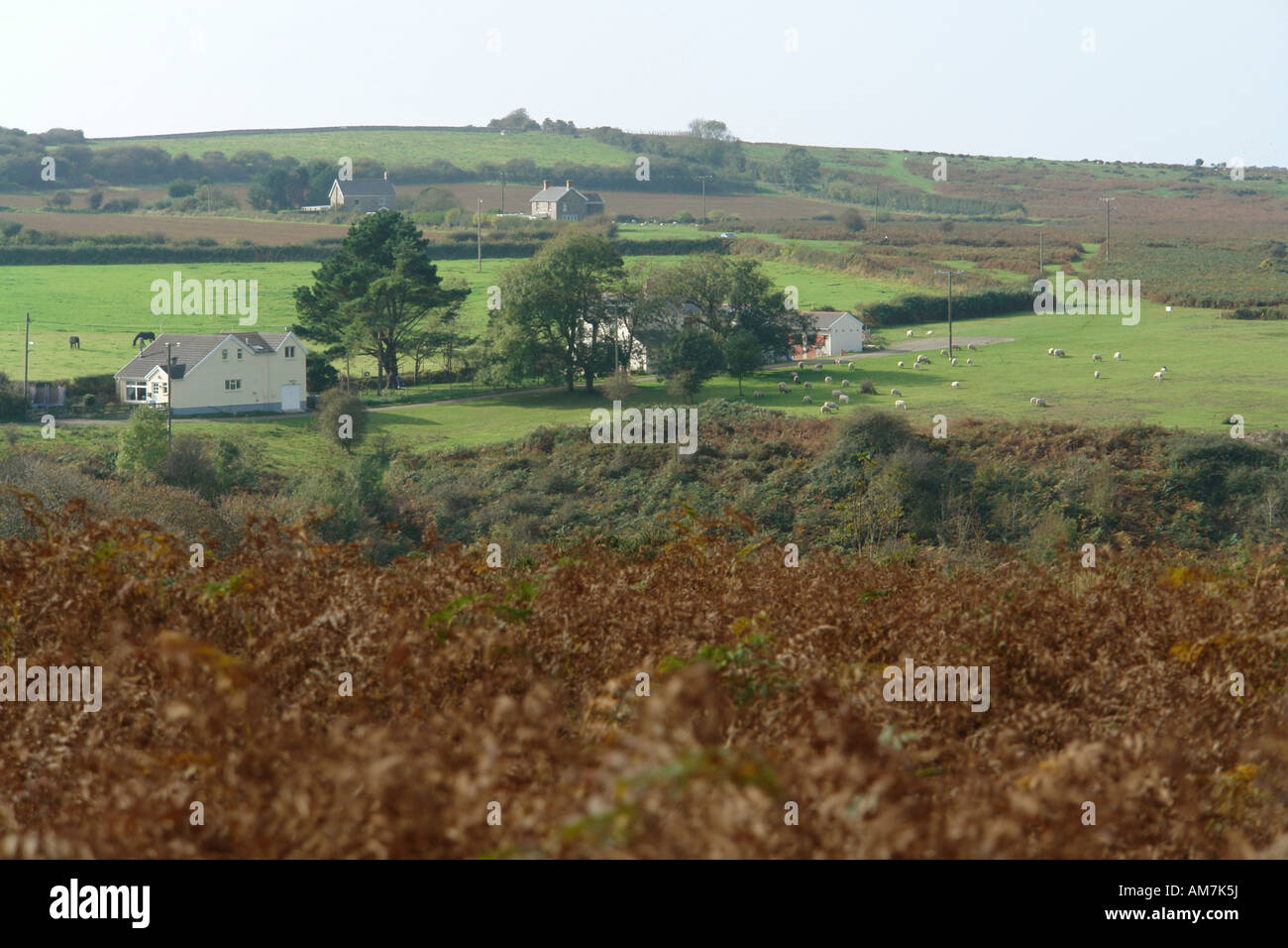 Fern hill farm wales hi-res stock photography and images - Alamy