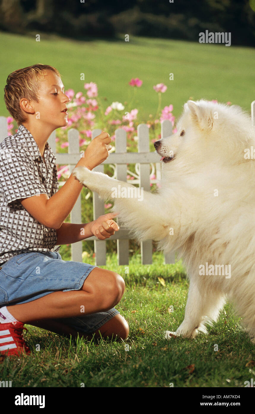 boy with Samoyed dog Stock Photo - Alamy