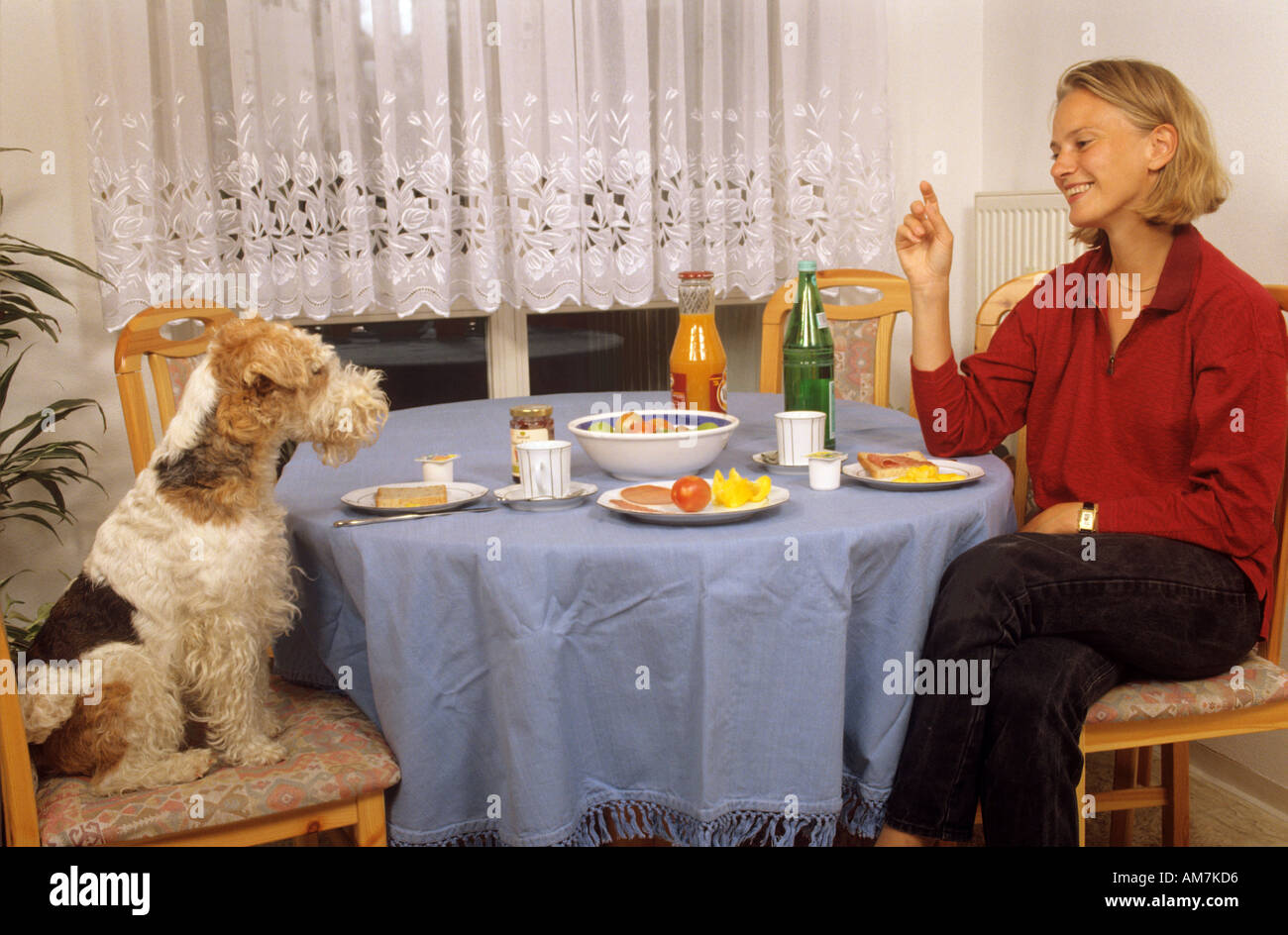 Fox table hi-res stock photography and images - Alamy