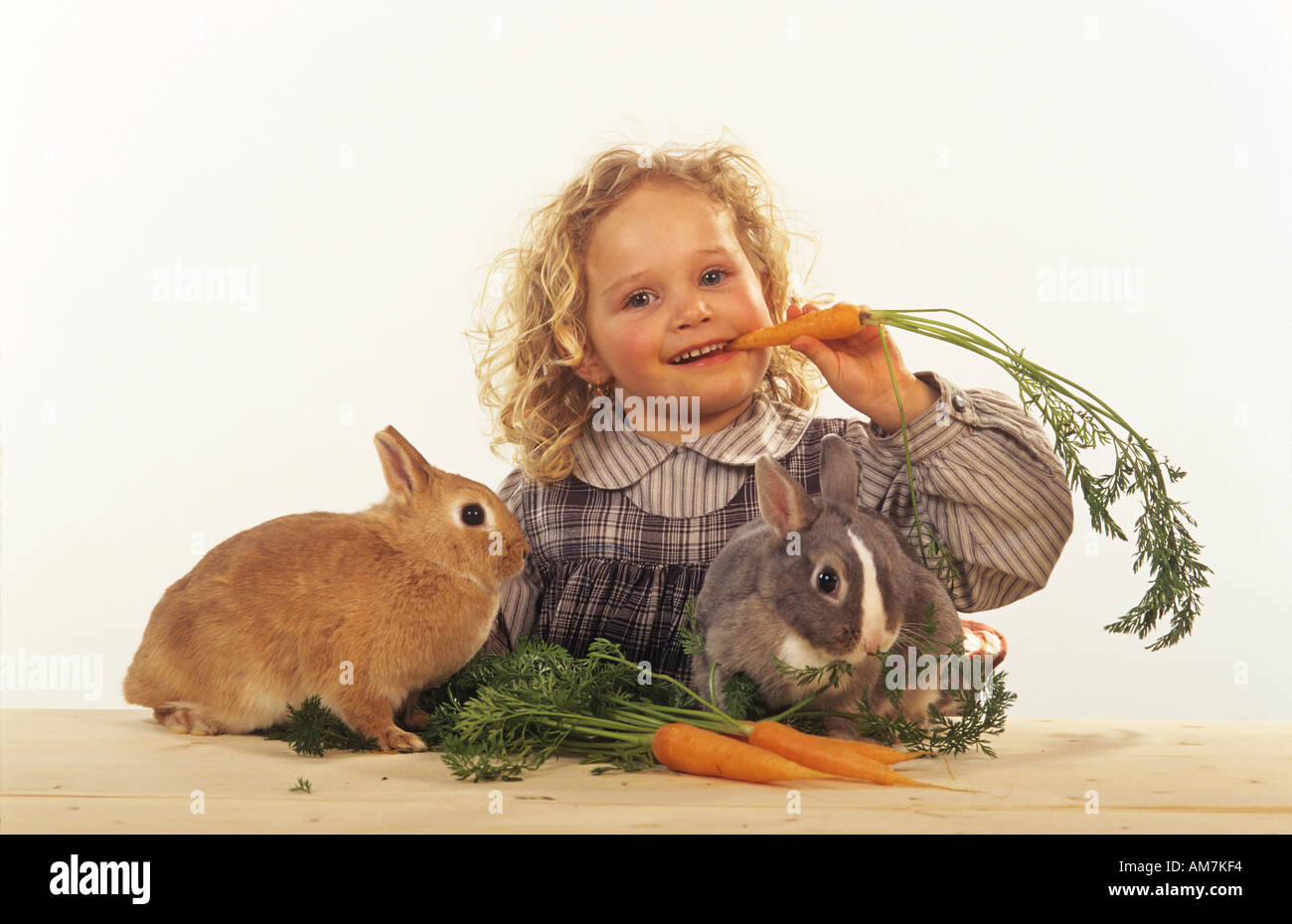 girl with two rabbits Stock Photo - Alamy