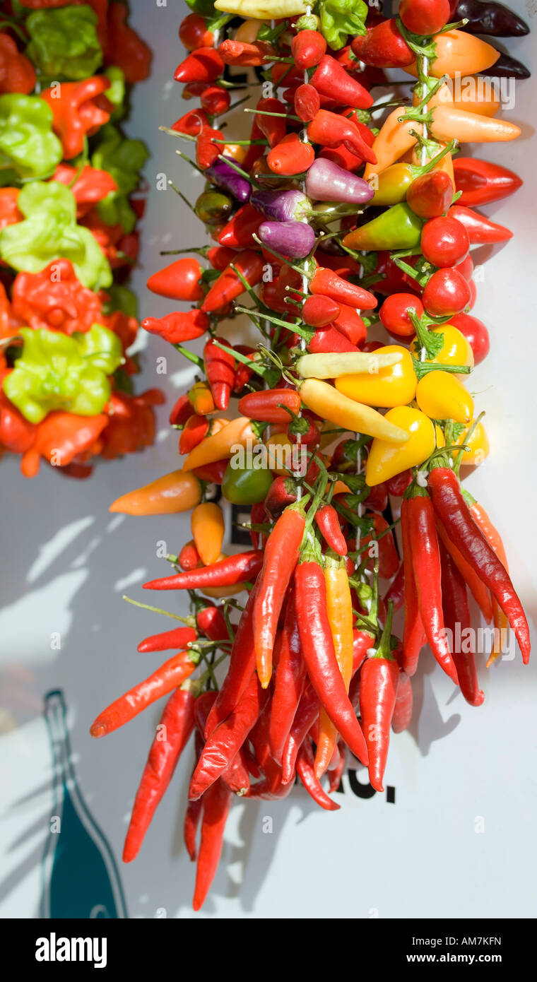Coloured chile peppers Stock Photo - Alamy