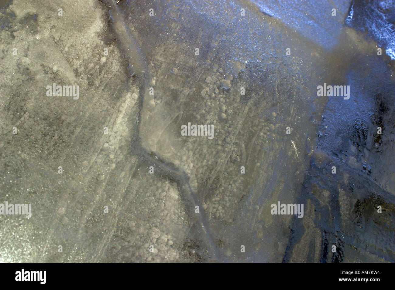 Coolest ice cooler hi-res stock photography and images - Alamy