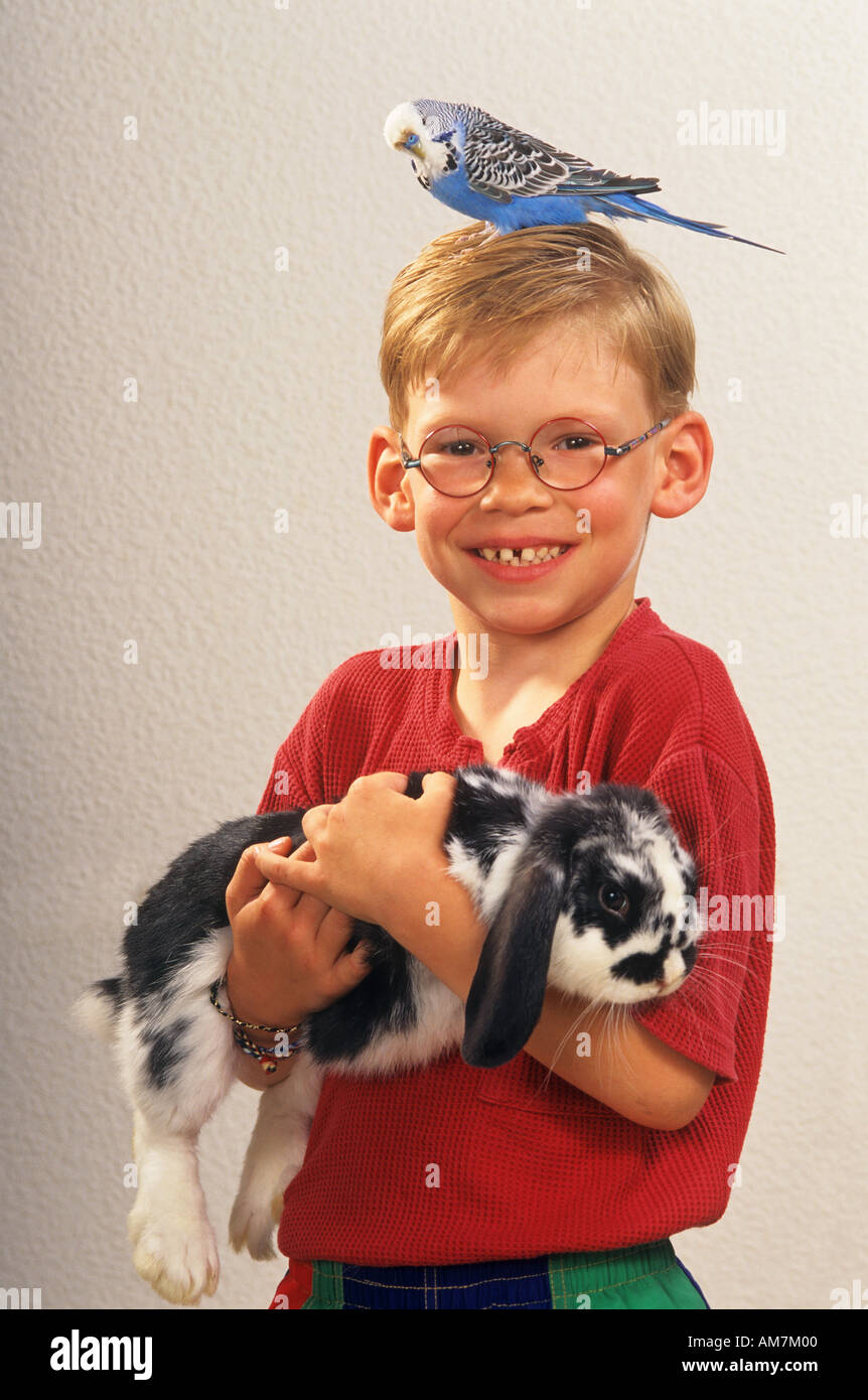 boy with rabbit and budgerigar Stock Photo - Alamy
