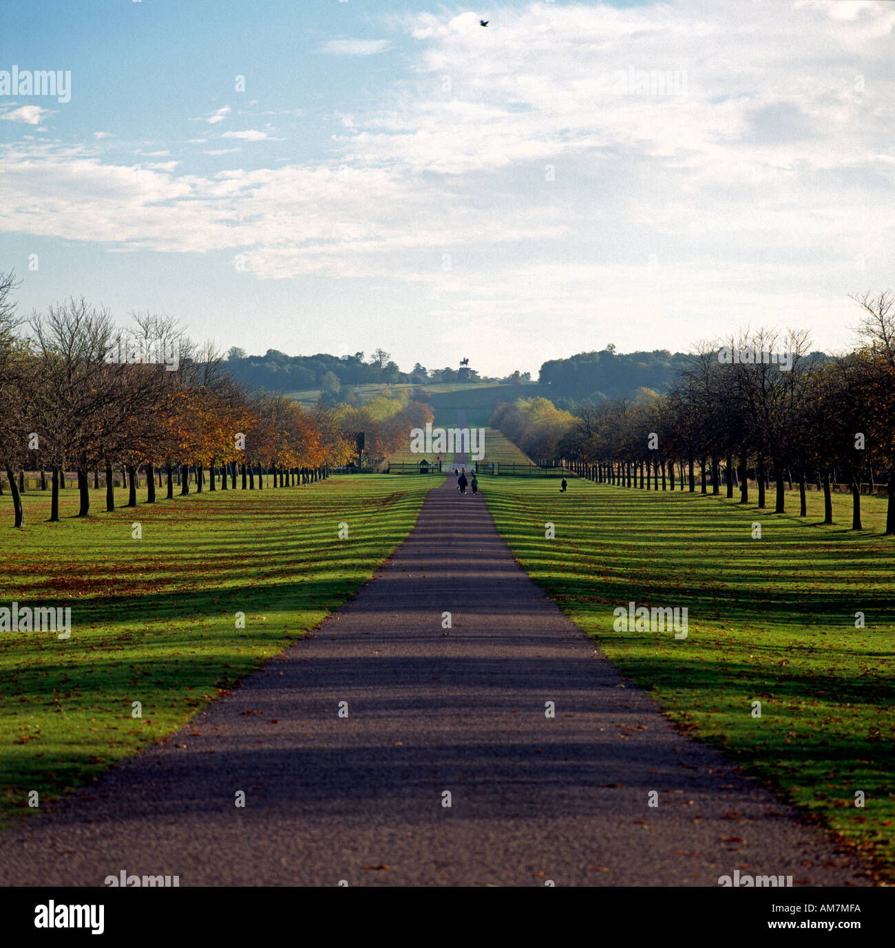 View of The Long Walk avenue path from Windsor Castle receding into the ...
