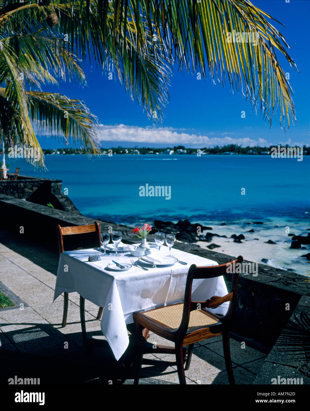 Lunch under palm trees hi-res stock photography and images - Alamy