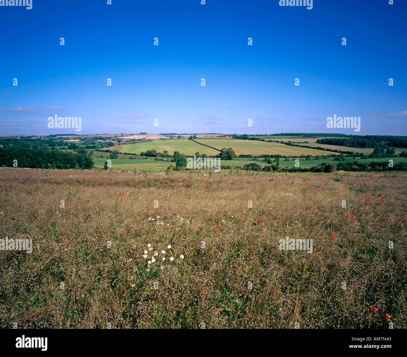 Summer countryside england hi-res stock photography and images - Alamy