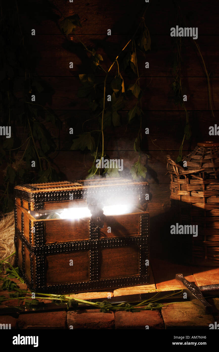 Treasure chest hi-res stock photography and images - Alamy