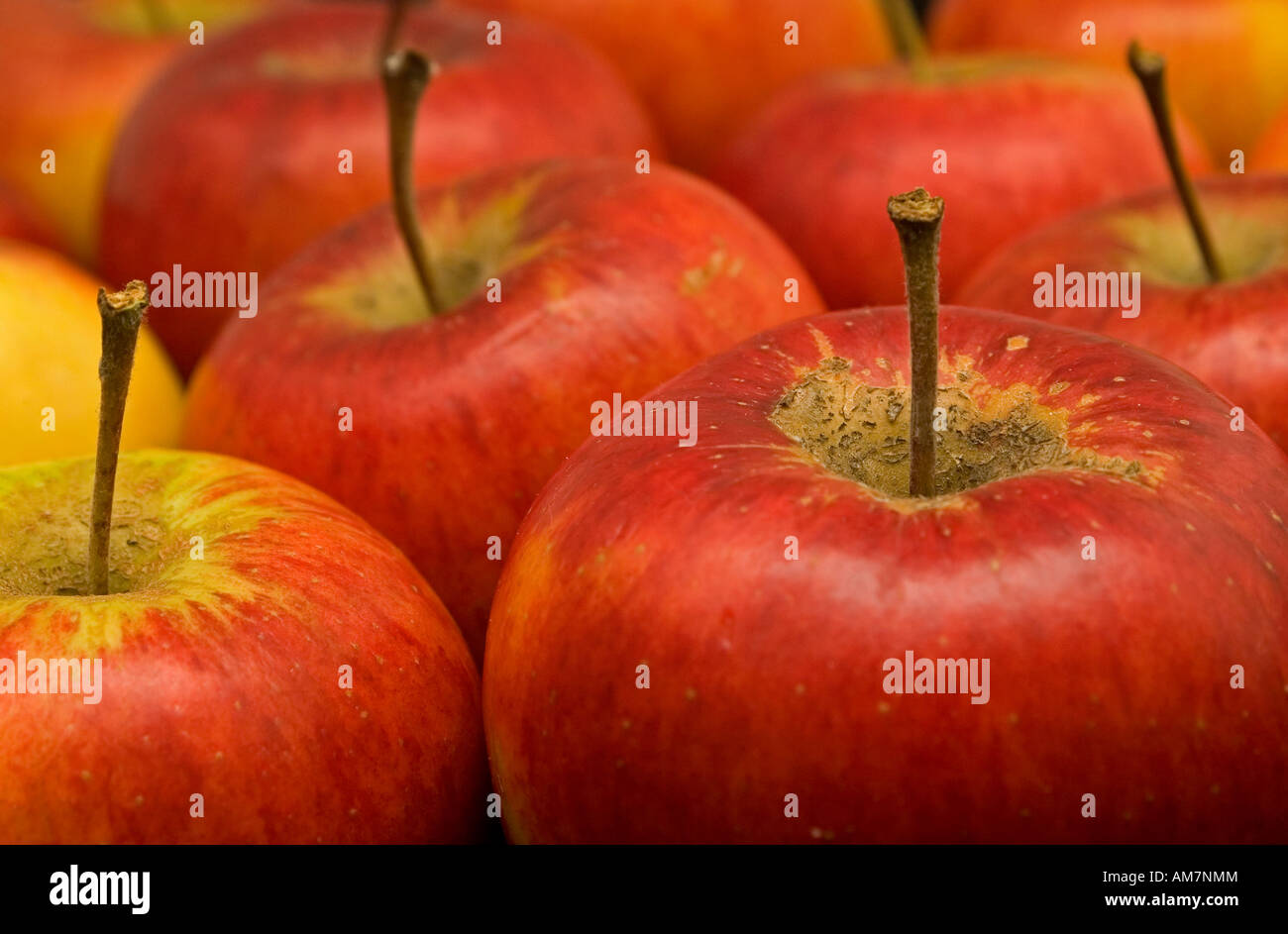 Red apples with stems Stock Photo - Alamy